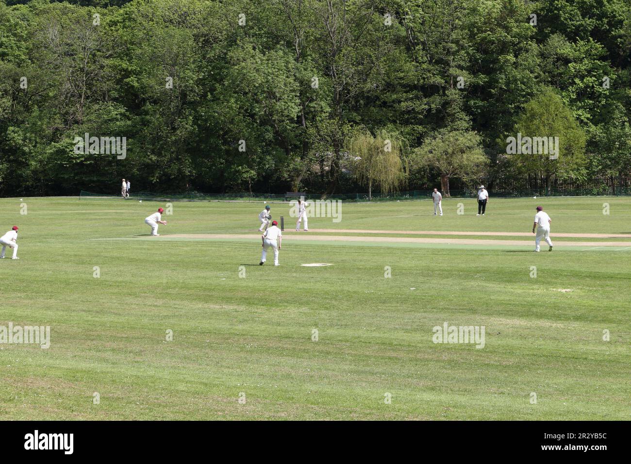 Local Cricket match in Millhouses Park Sheffield England Stock Photo ...