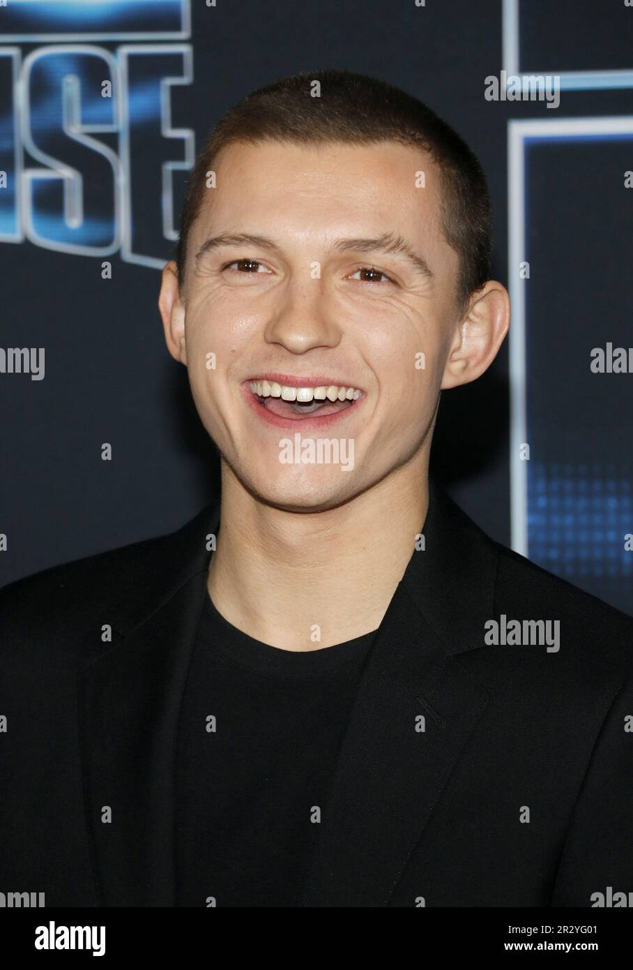 Tom Holland at the Los Angeles premiere of 'Spies In Disguise' held at ...