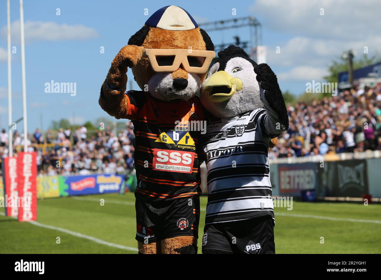 Sport club mascot hi-res stock photography and images - Alamy