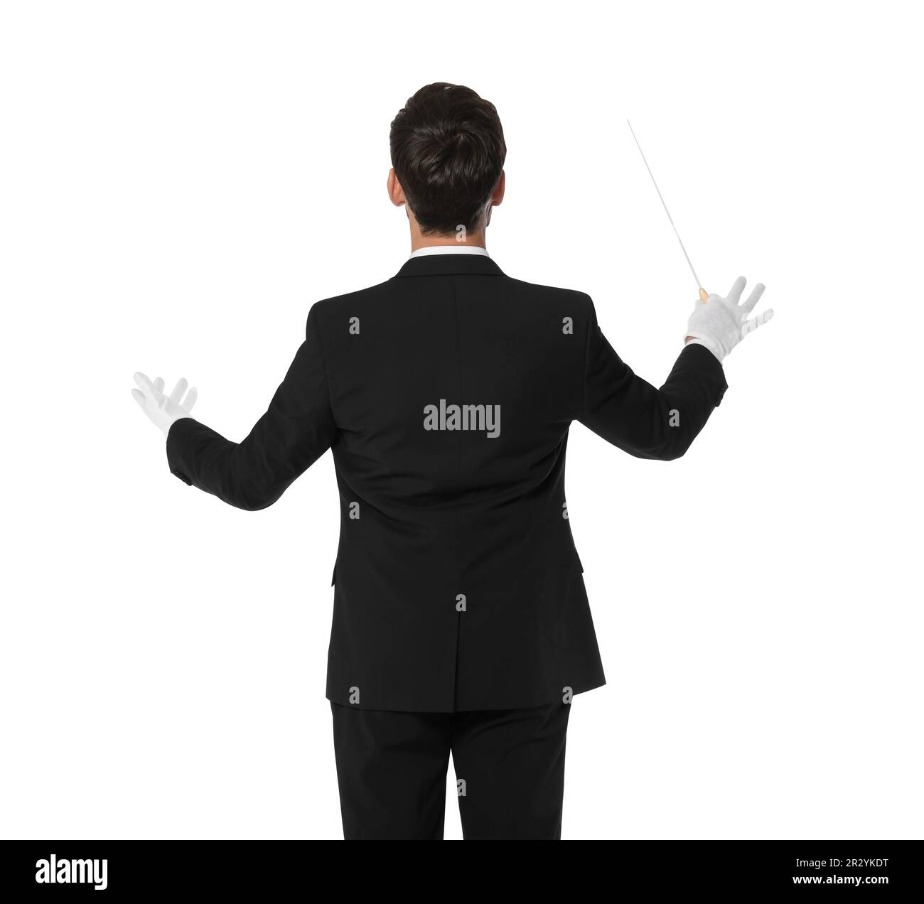 Professional conductor with baton on white background, back view Stock ...
