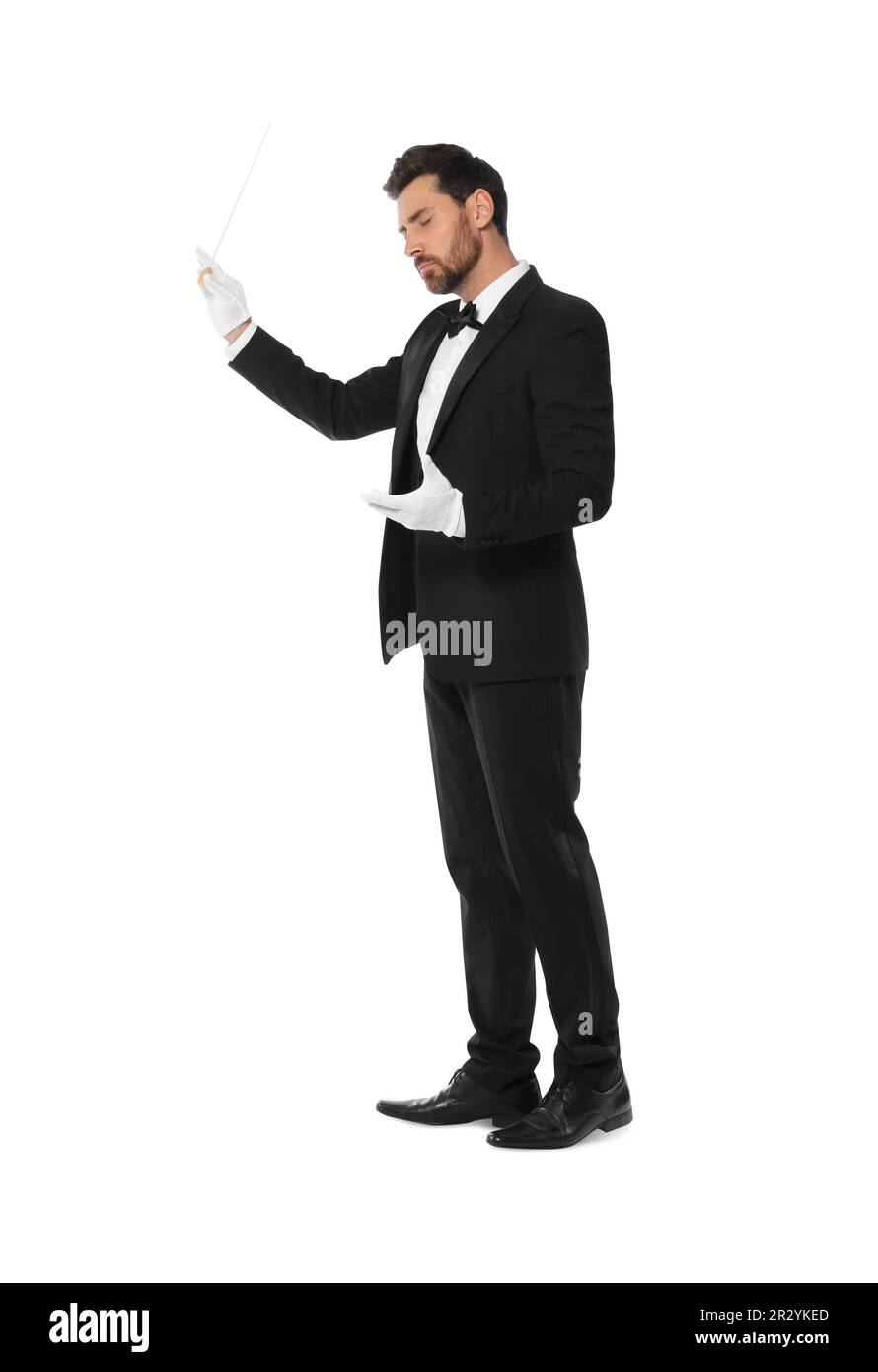 Professional conductor with baton on white background Stock Photo - Alamy