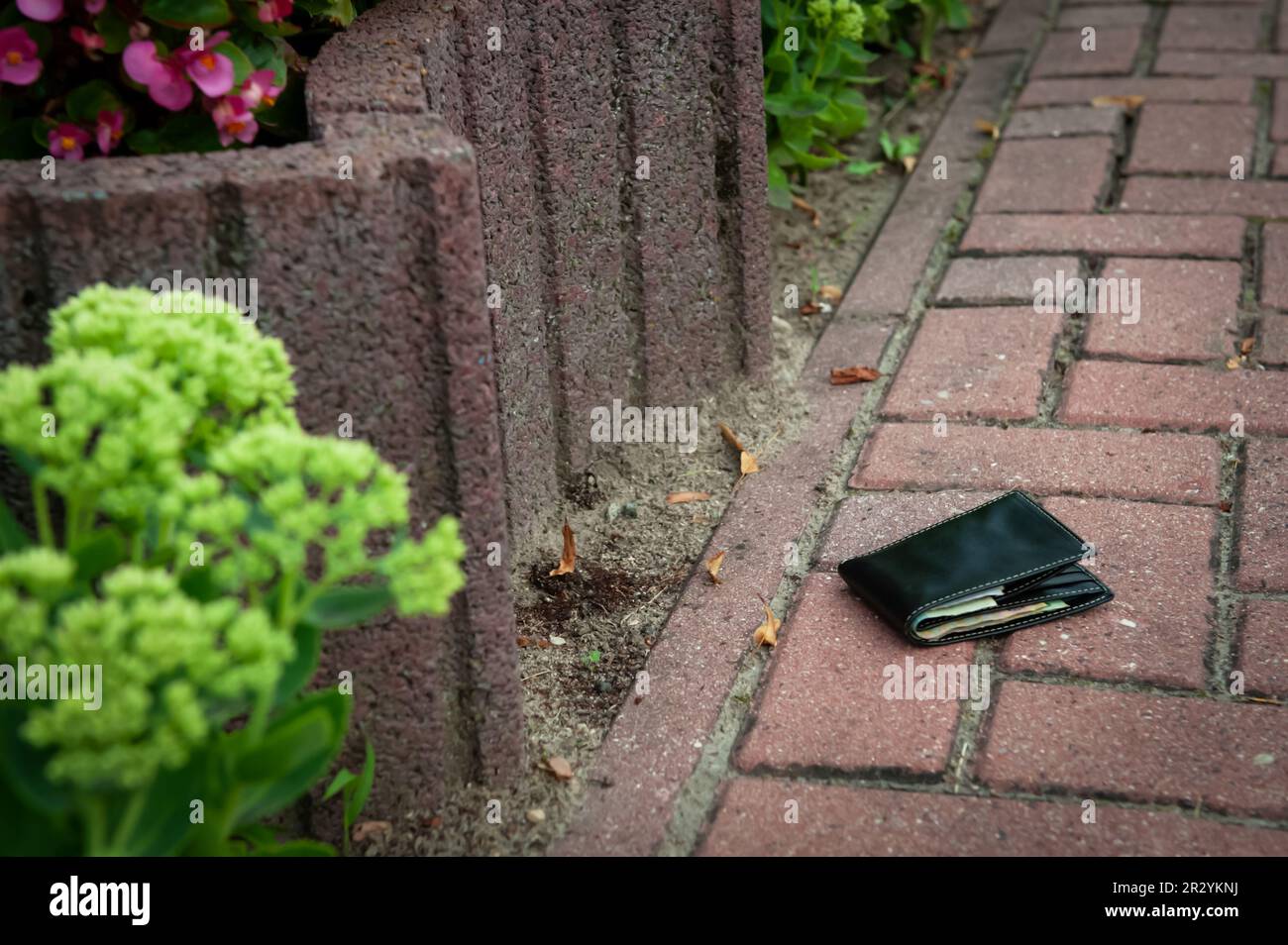 Lost wallet lying on street hi-res stock photography and images - Alamy