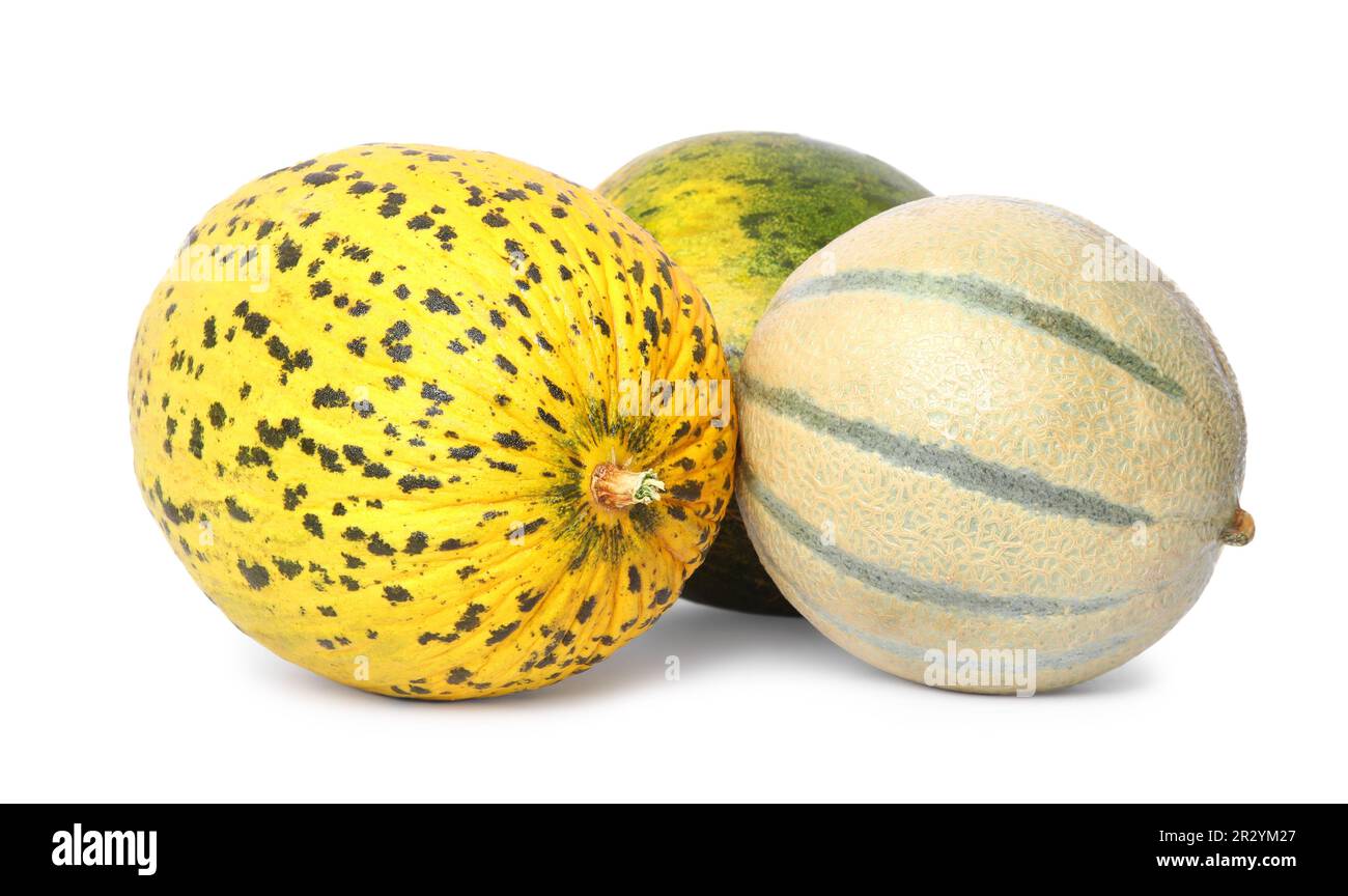 Types of melons Cut Out Stock Images & Pictures - Alamy
