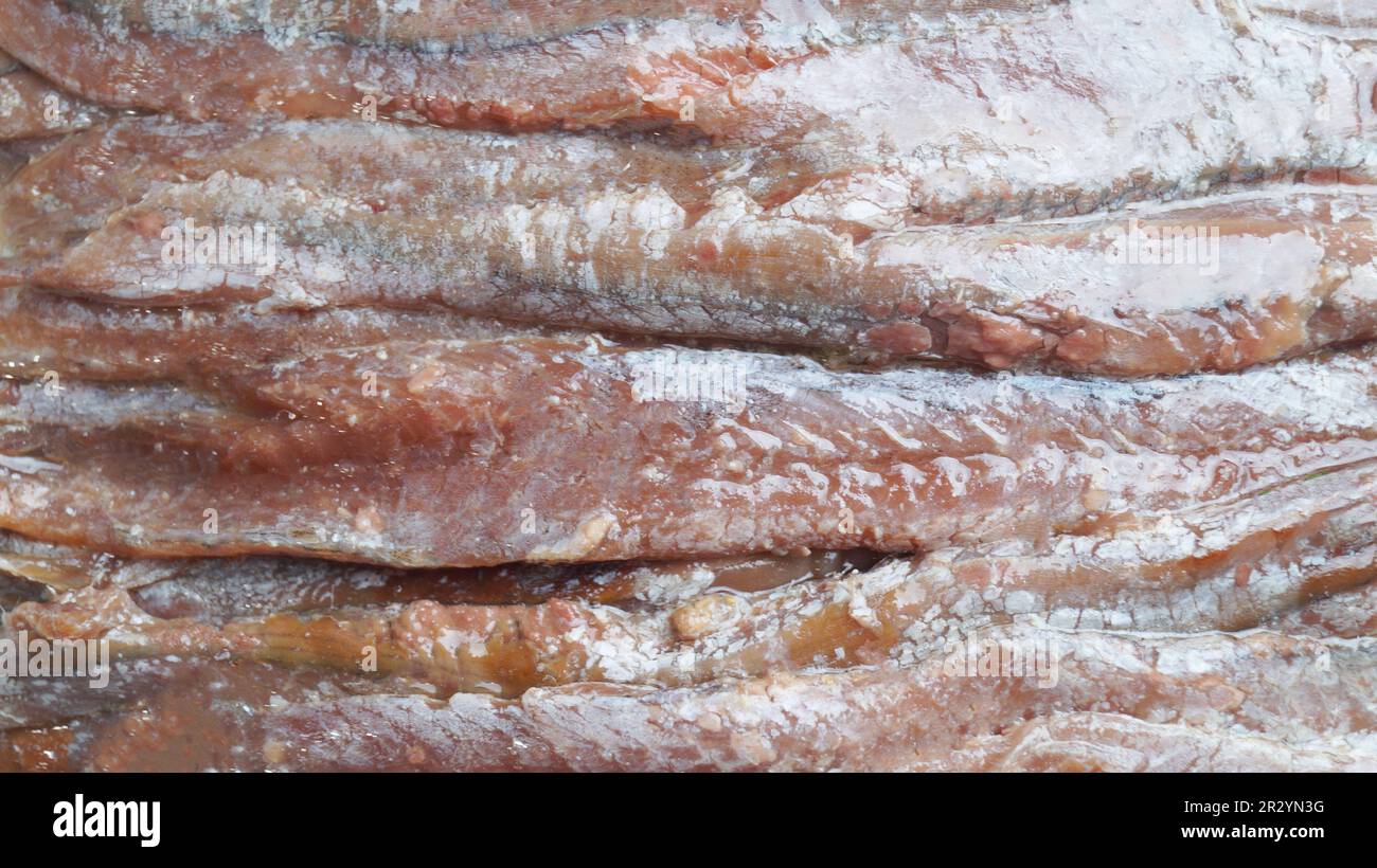 Canned anchovy fillets as background, closeup view Stock Photo - Alamy
