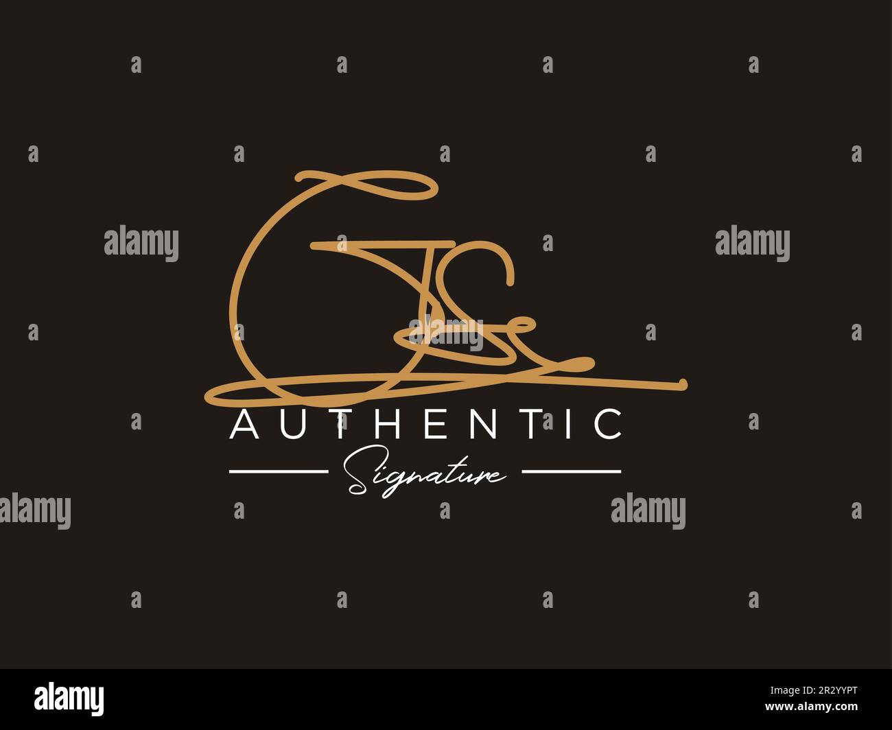 GS Signature Logo Template Vector Stock Vector Image & Art - Alamy