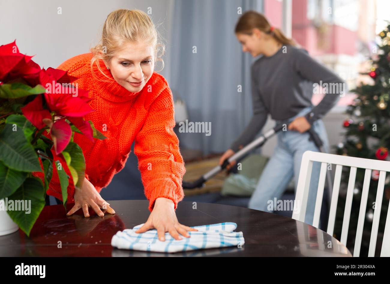 Woman wiping table before Christmas dinner Stock Photo - Alamy