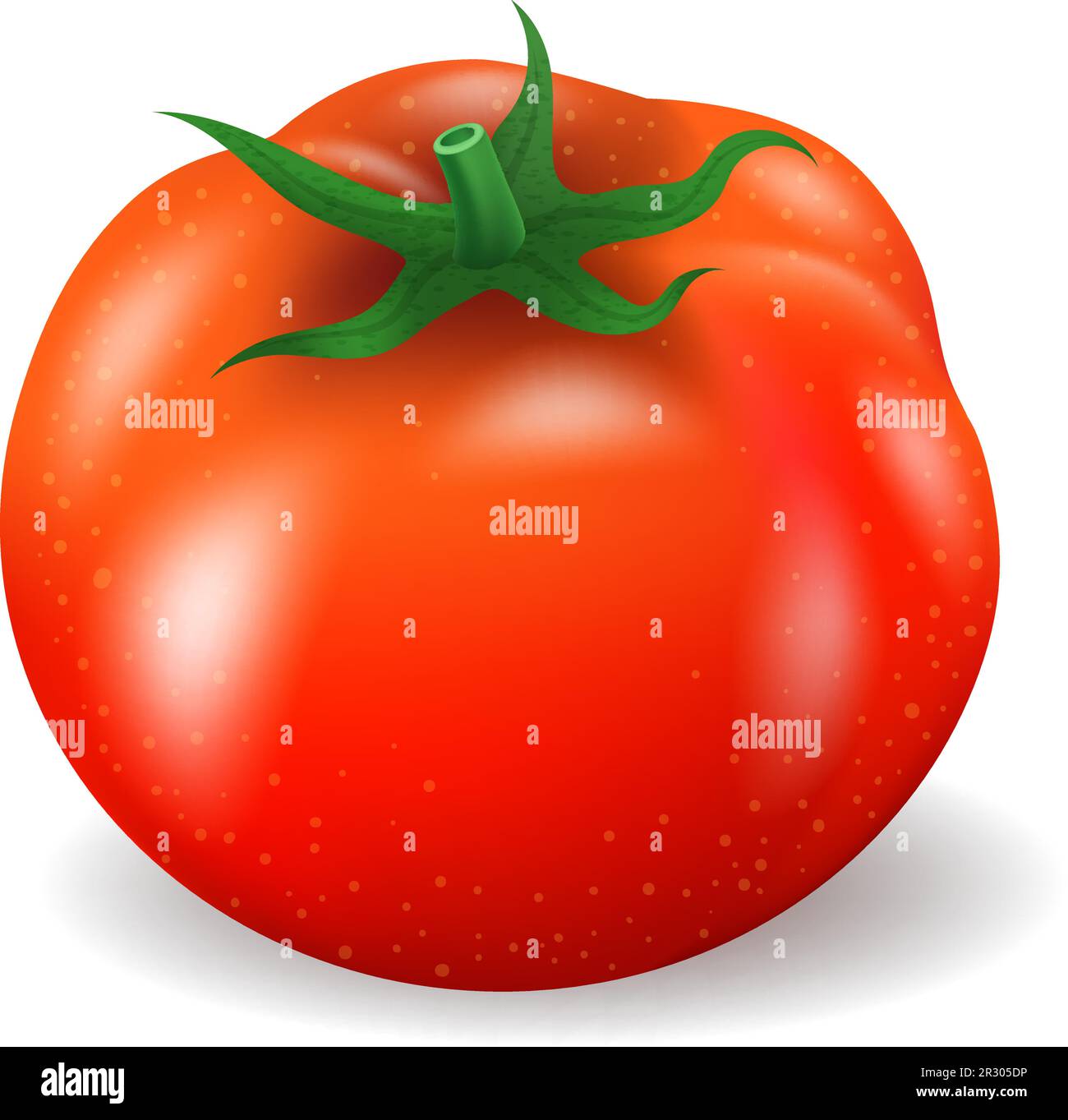 3d realistic tomato Stock Vector Images - Alamy