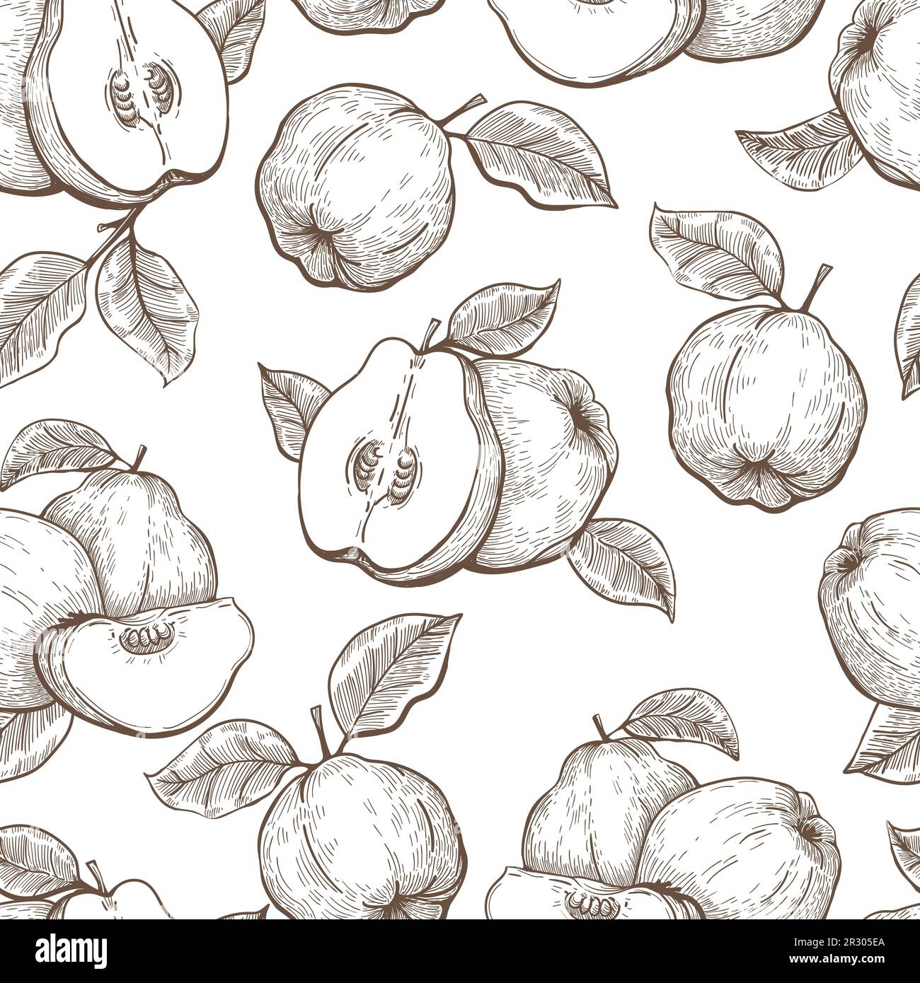 Engraved quince pattern Stock Vector Image & Art - Alamy