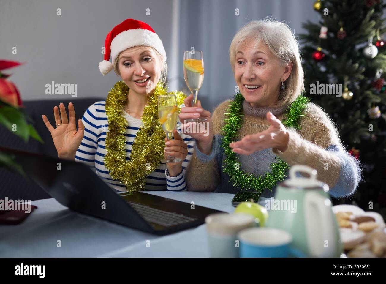 Elderly mother and adult daughter look at the laptop screen and ...