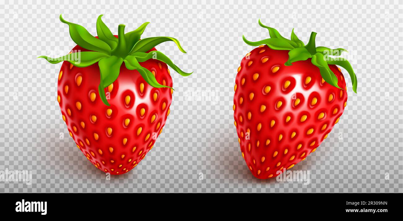3d fly realistic isolated strawberry fruit icon set on transparent ...