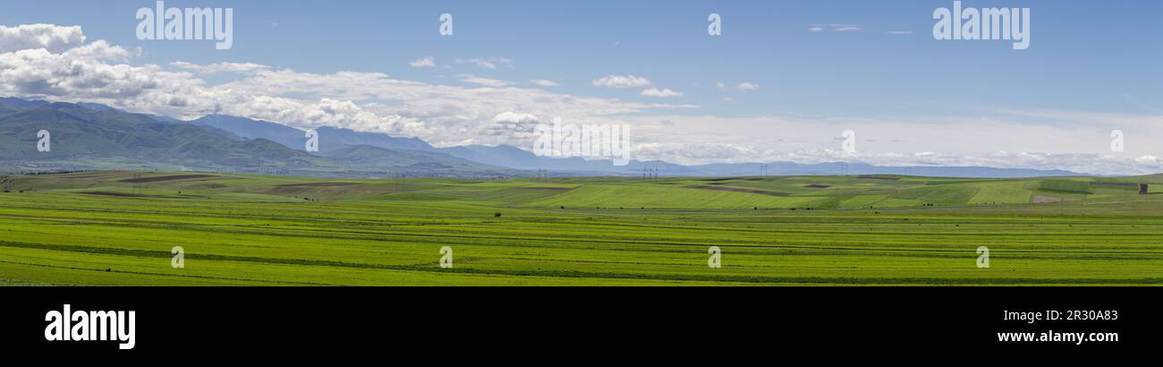 Endless expanses of agricultural land. Mountain range landscape ...
