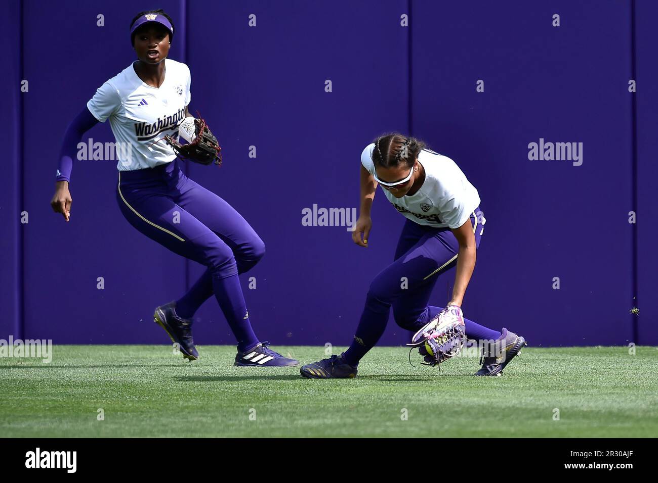 Madison huskey hi-res stock photography and images - Alamy