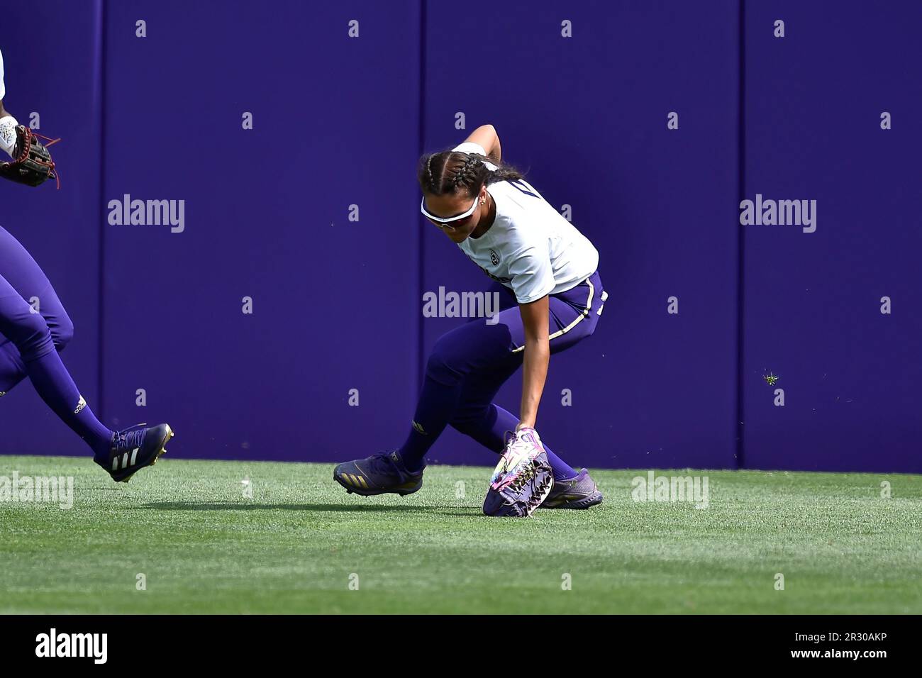 Madison huskey hi-res stock photography and images - Alamy