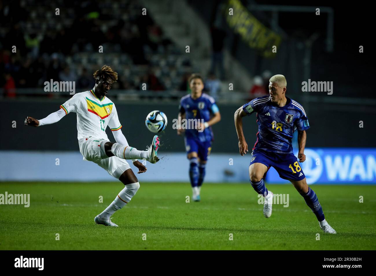 Naoki kumata hi-res stock photography and images - Alamy