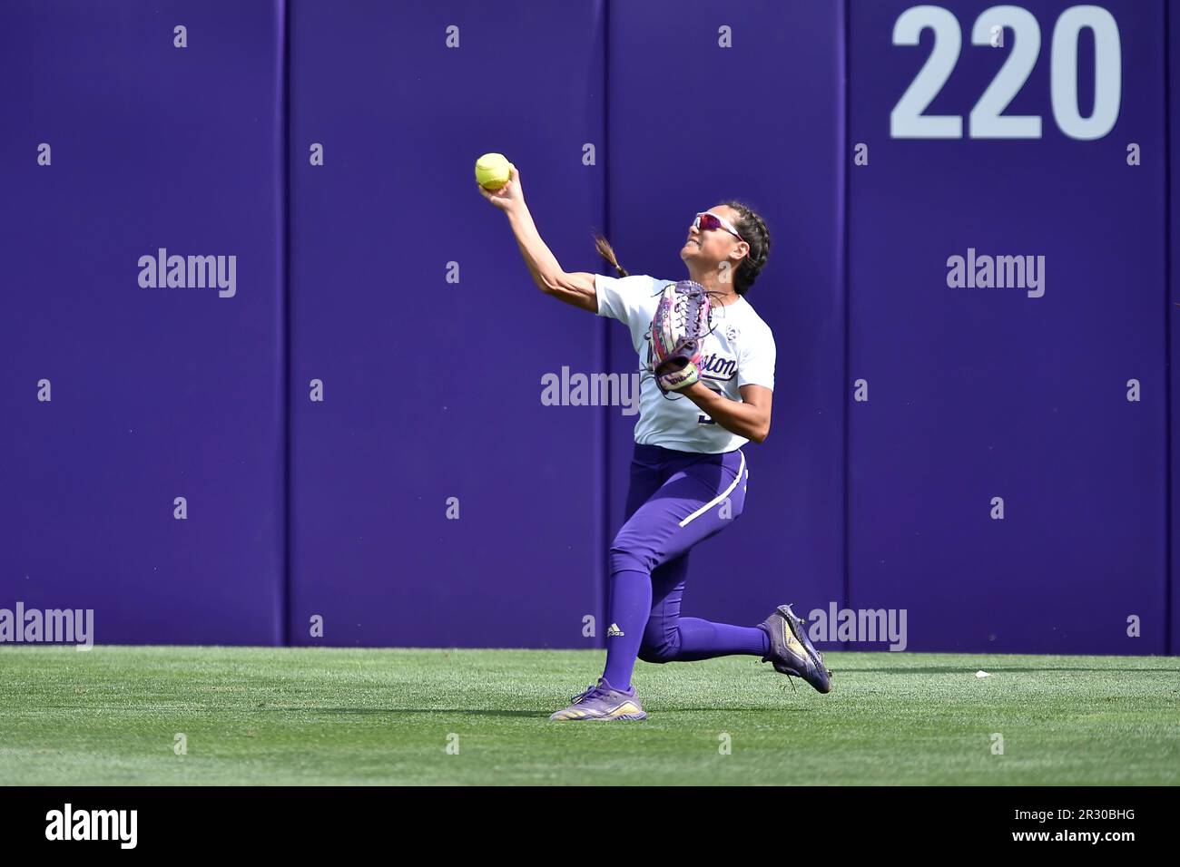 Madison huskey hi-res stock photography and images - Alamy