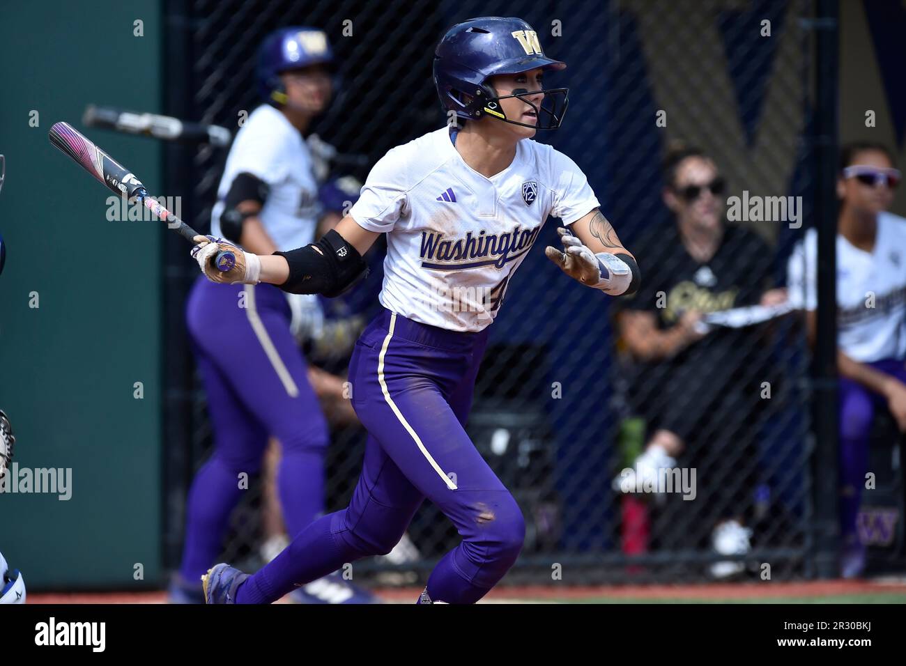 Mcneese st hi-res stock photography and images - Alamy