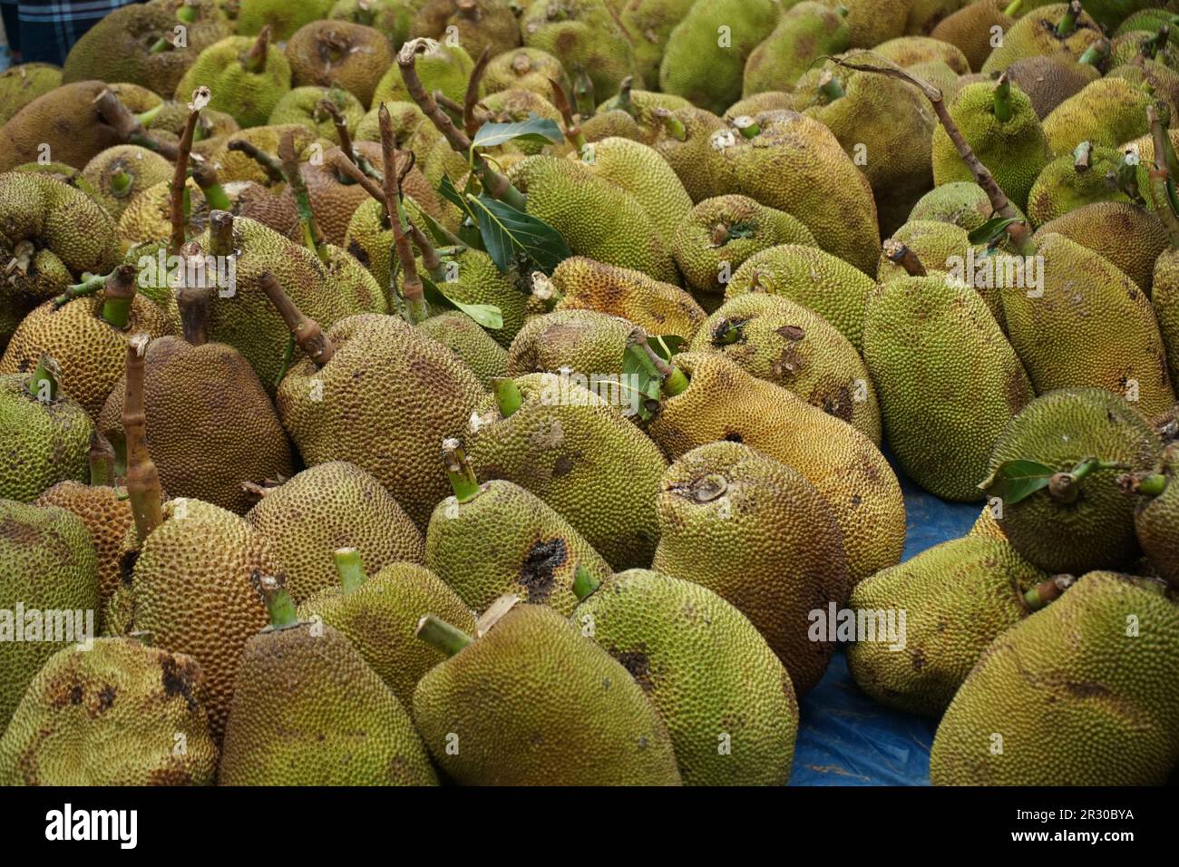 National fruits of bangladesh hi-res stock photography and images - Alamy