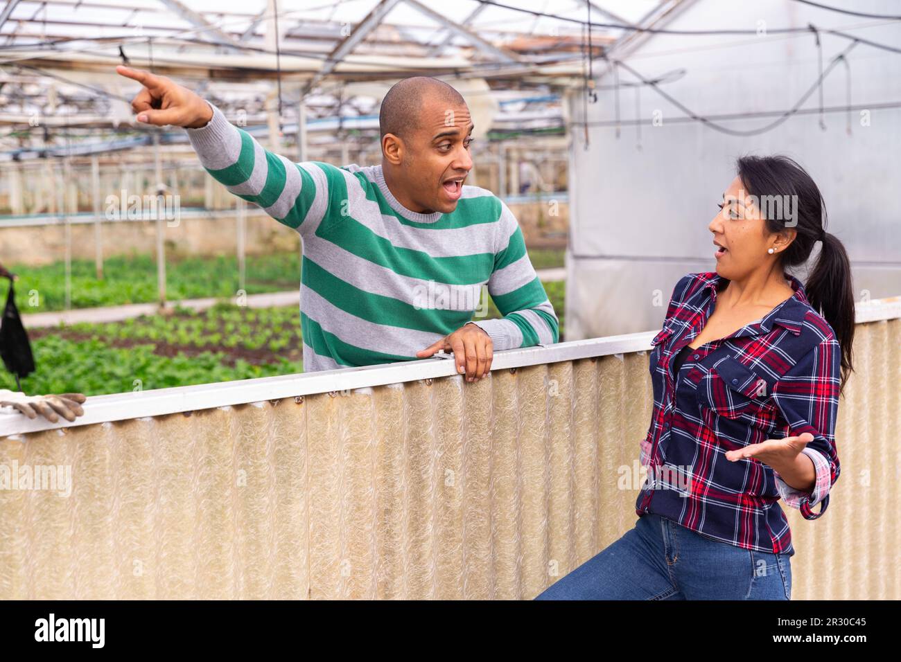 Farm neighbors quarrel over backyard Stock Photo - Alamy