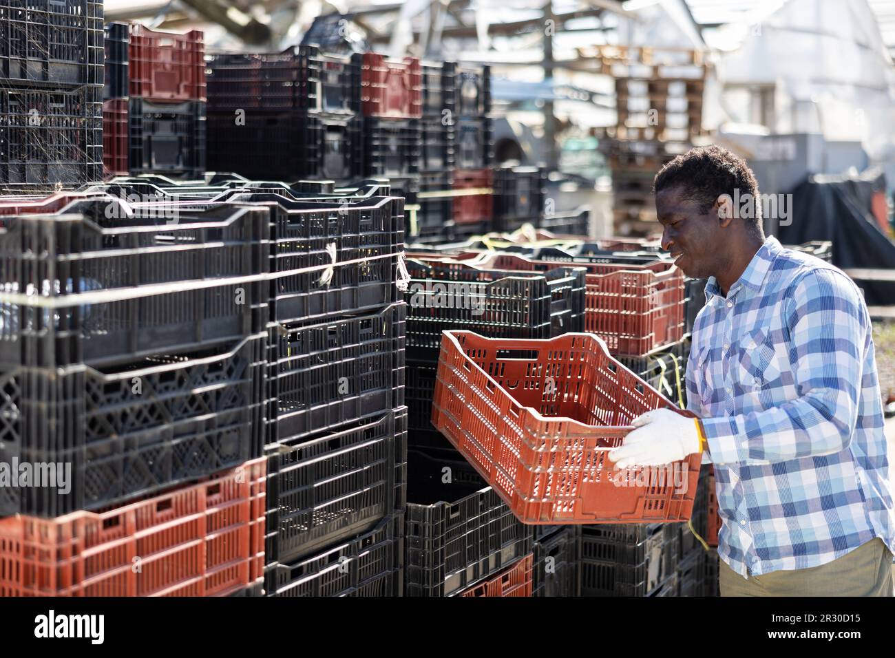 African american farmer puts empty crates on top of each other Stock ...