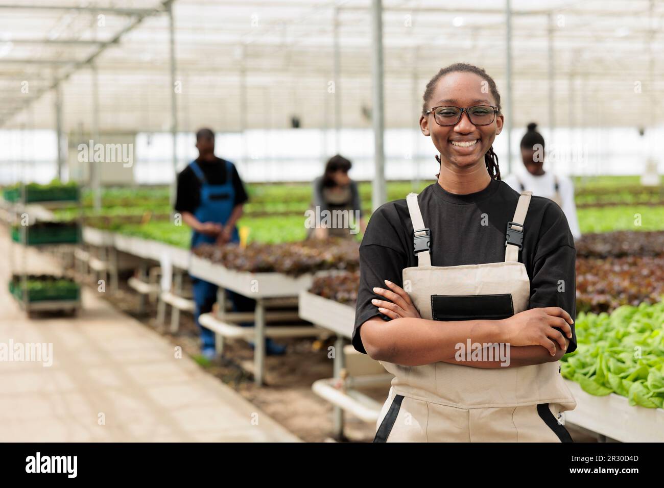 Farm manager leading greenhouse workers Stock Photo - Alamy