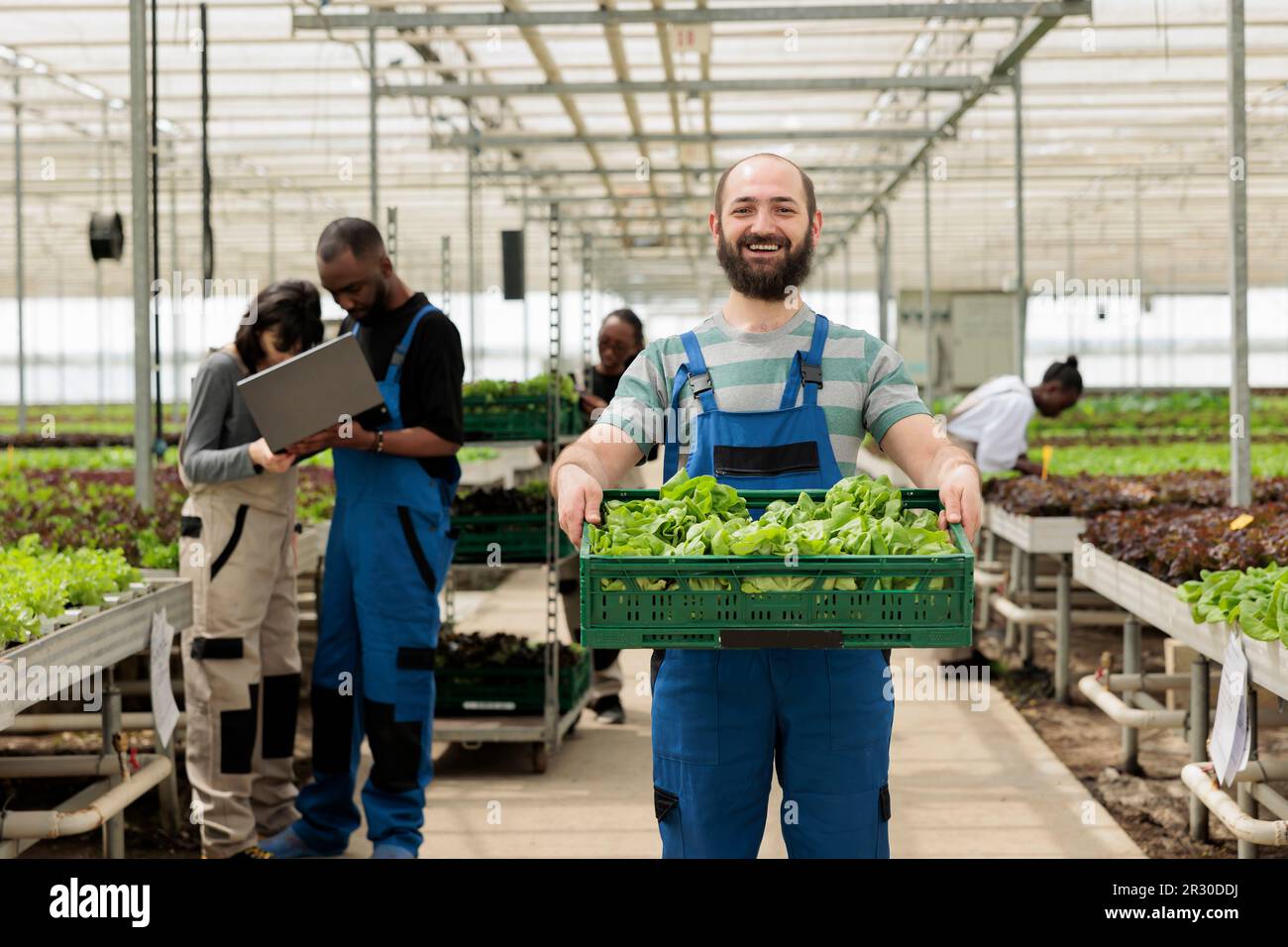 Group farm workers hi-res stock photography and images - Alamy