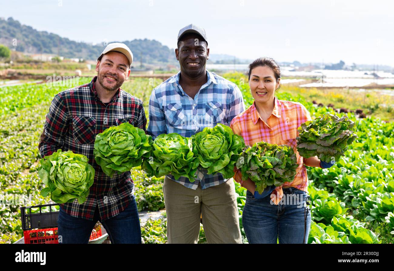 Portrait three positive farmers hi-res stock photography and images - Alamy