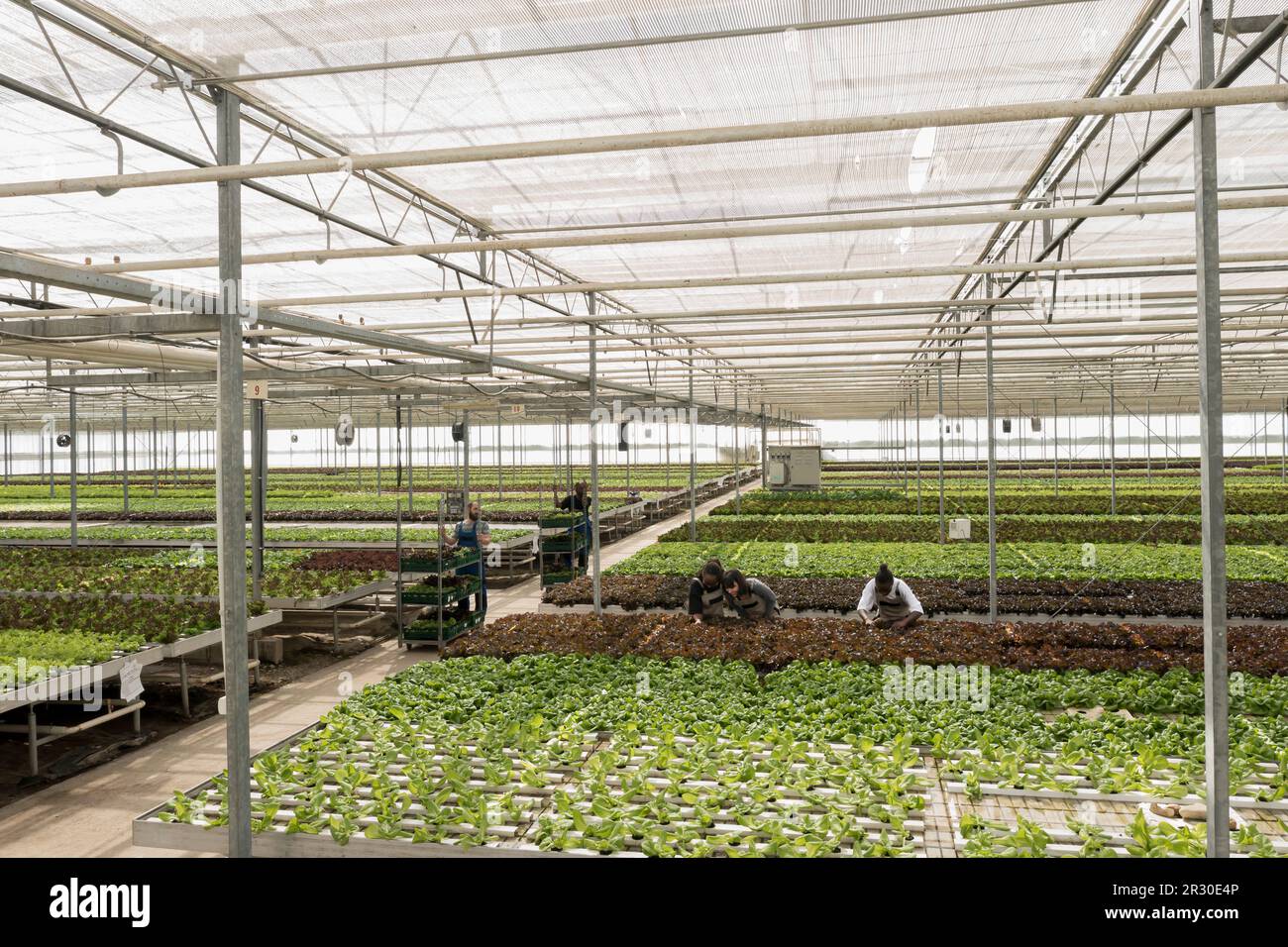 Sustainable responsible agriculture farm Stock Photo - Alamy