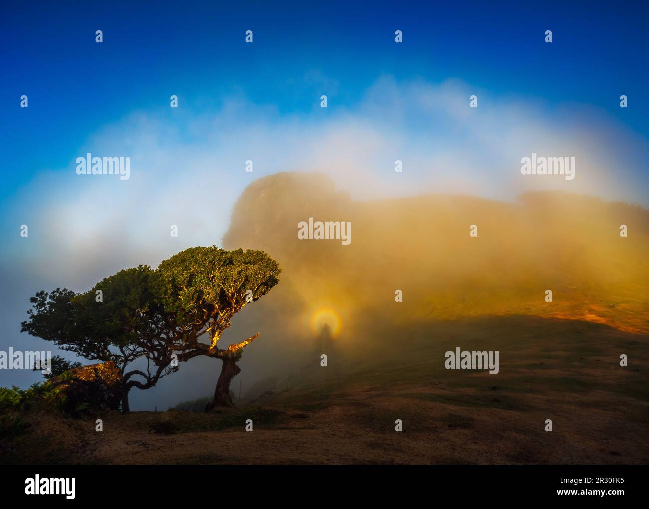 A Brocken spectre - optical phenomana. Also called Brocken bow ...
