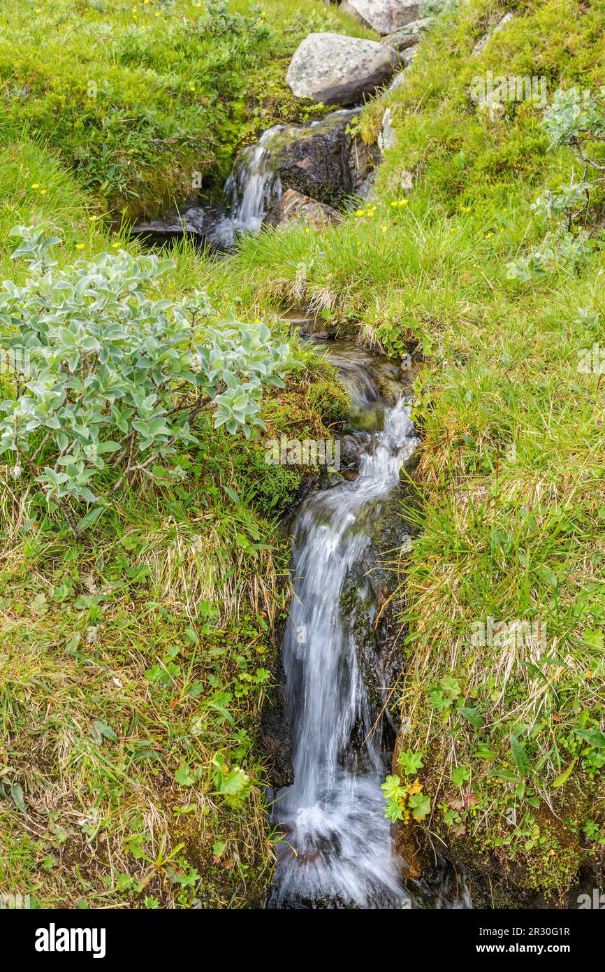 Small stream and a waterfall on a meadow Stock Photo - Alamy