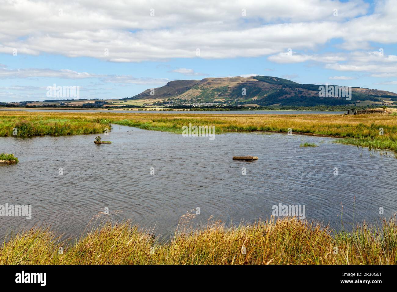 Rspb scotland nature reserve hi-res stock photography and images - Alamy