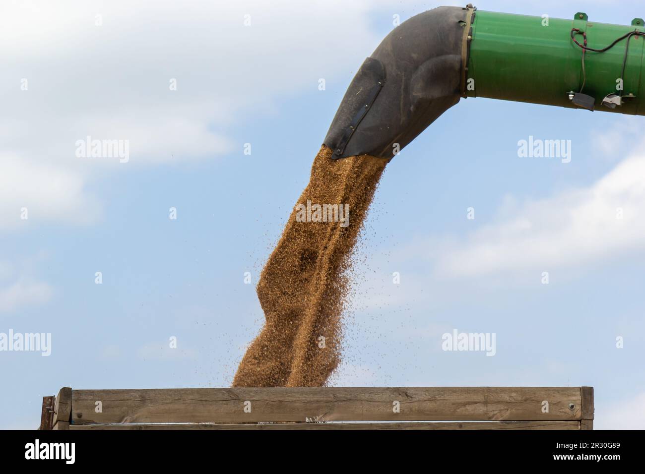 Wheat harvest combine unloading tractor hi-res stock photography and ...