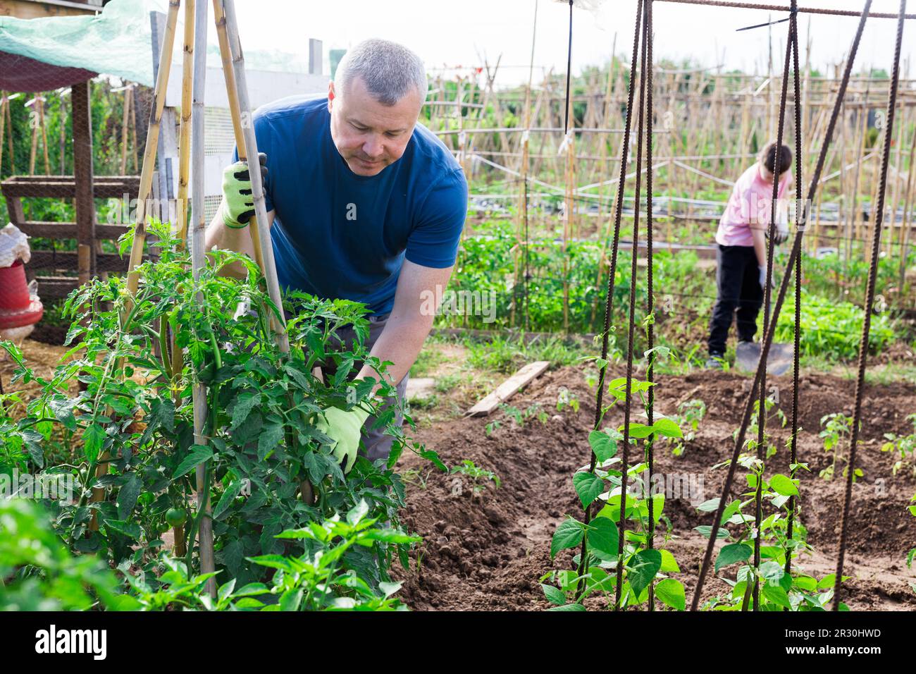 German landscape gardener hi-res stock photography and images - Alamy