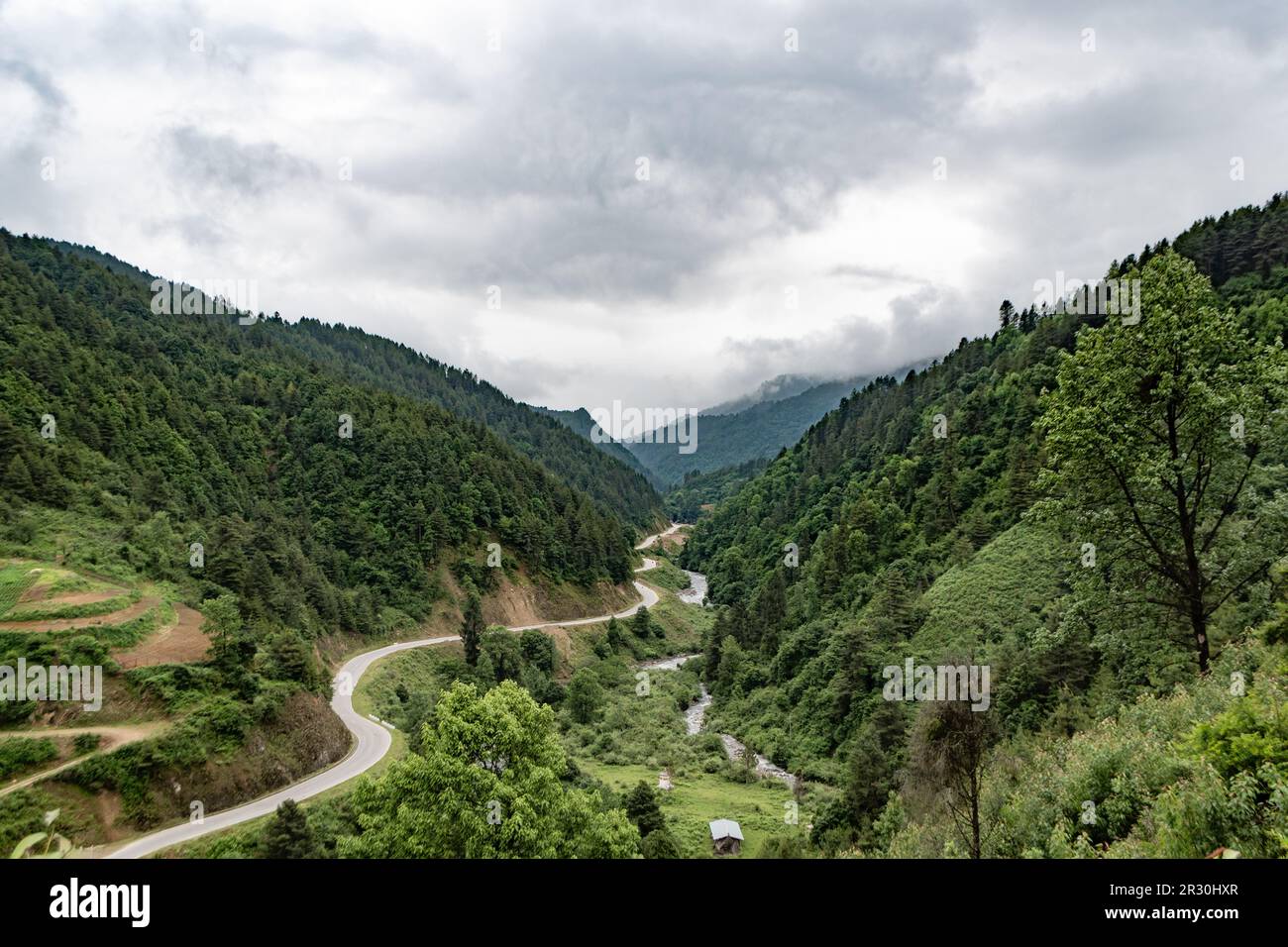 Long meandering road though the middle of forest and river flowing ...