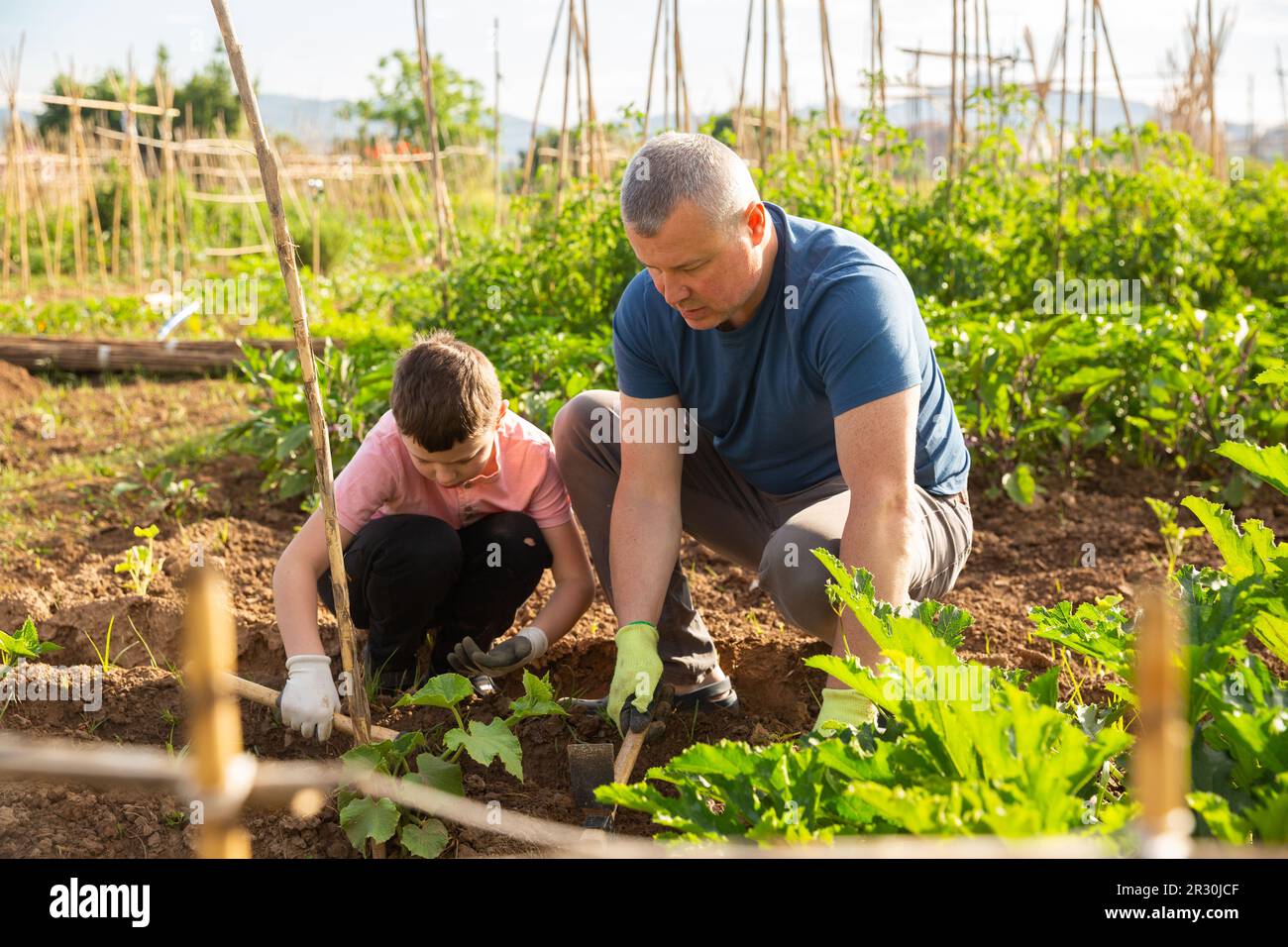 Father son working together hi-res stock photography and images - Alamy