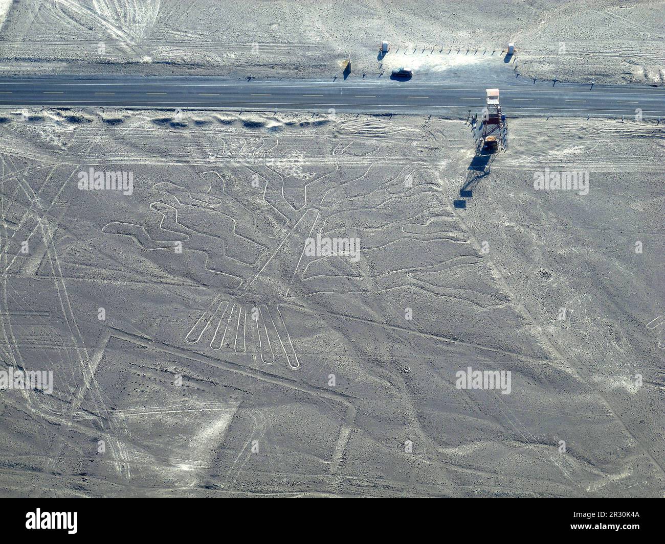 The Nazca lines in Peru in South America Stock Photo - Alamy