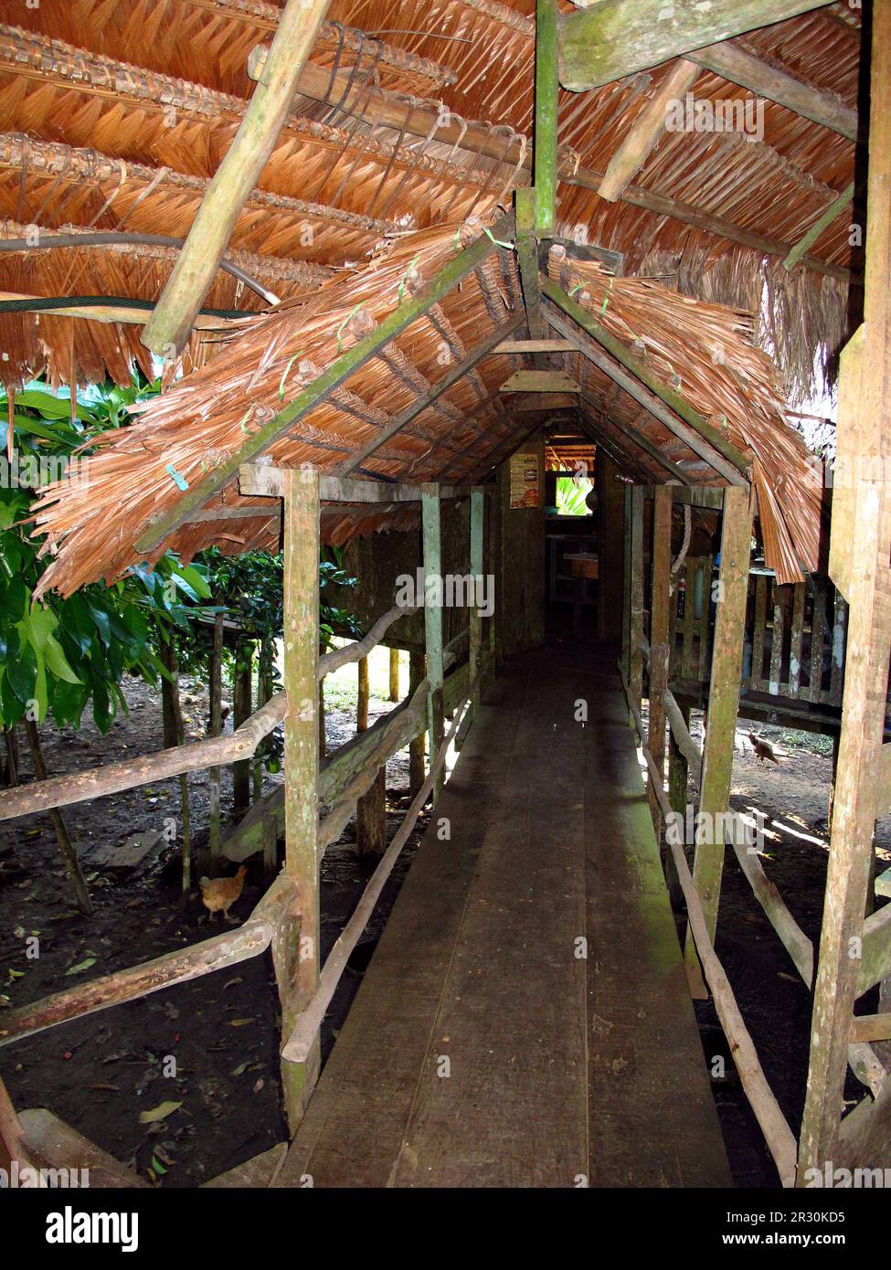 Indian village of the Amazon in Peru Stock Photo - Alamy