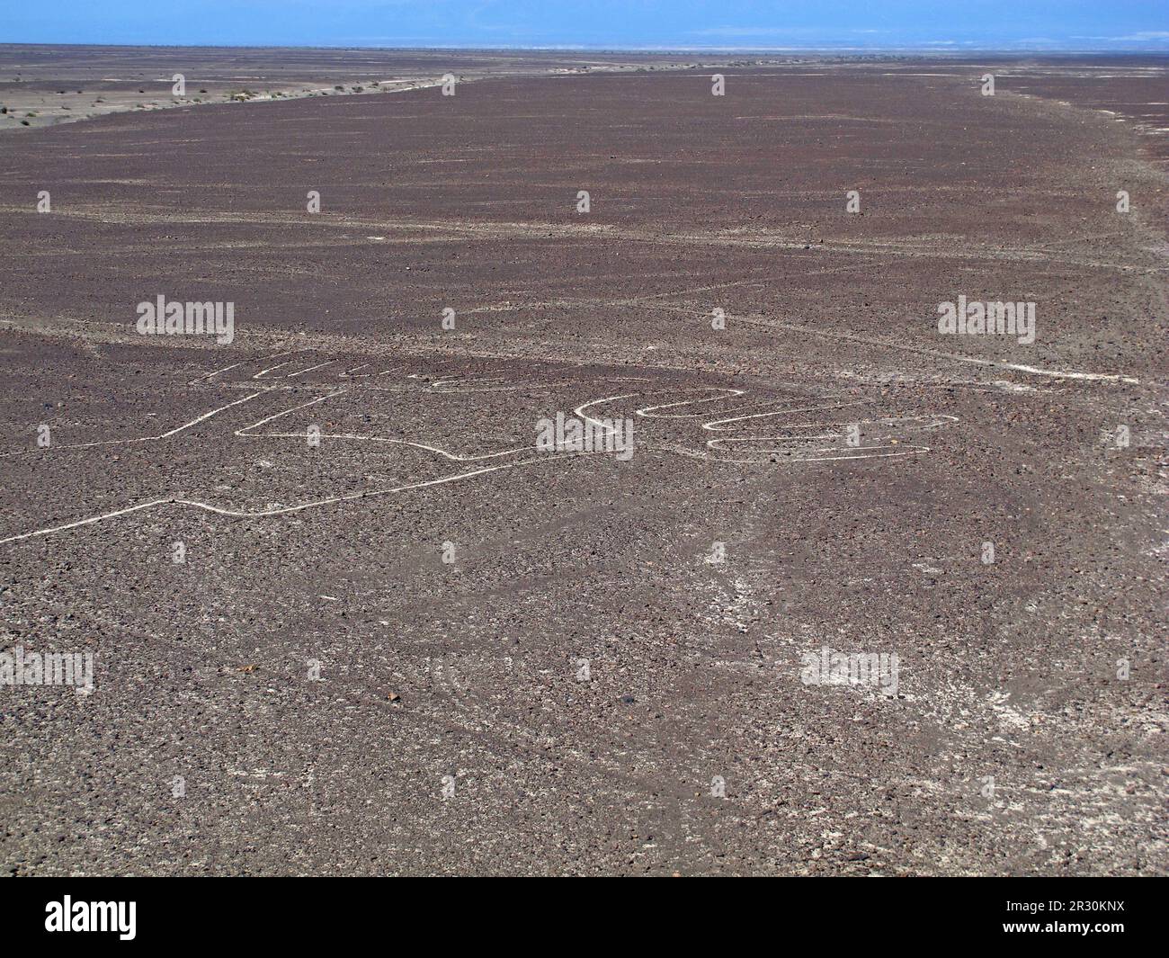 The Nazca lines in Peru in South America Stock Photo - Alamy
