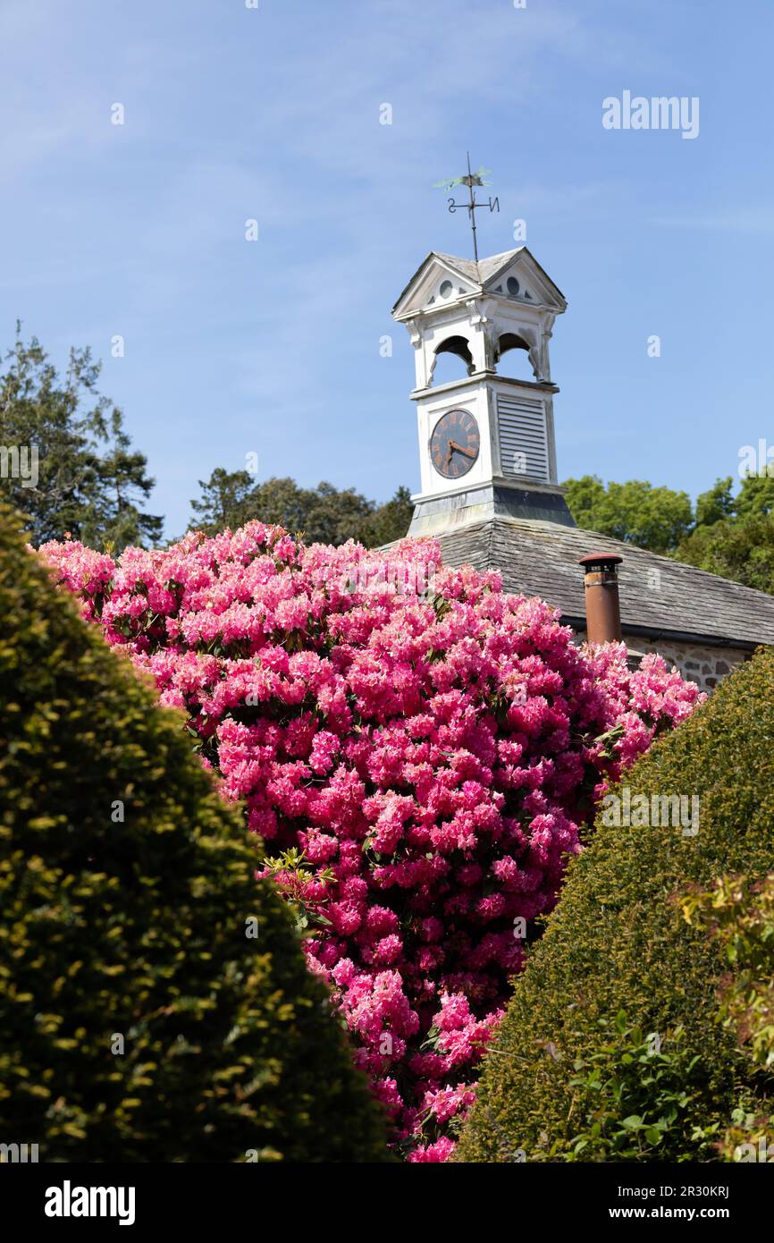 in the Trevince Gardens Estate, Gwenapp,Cornwall Stock Photo - Alamy