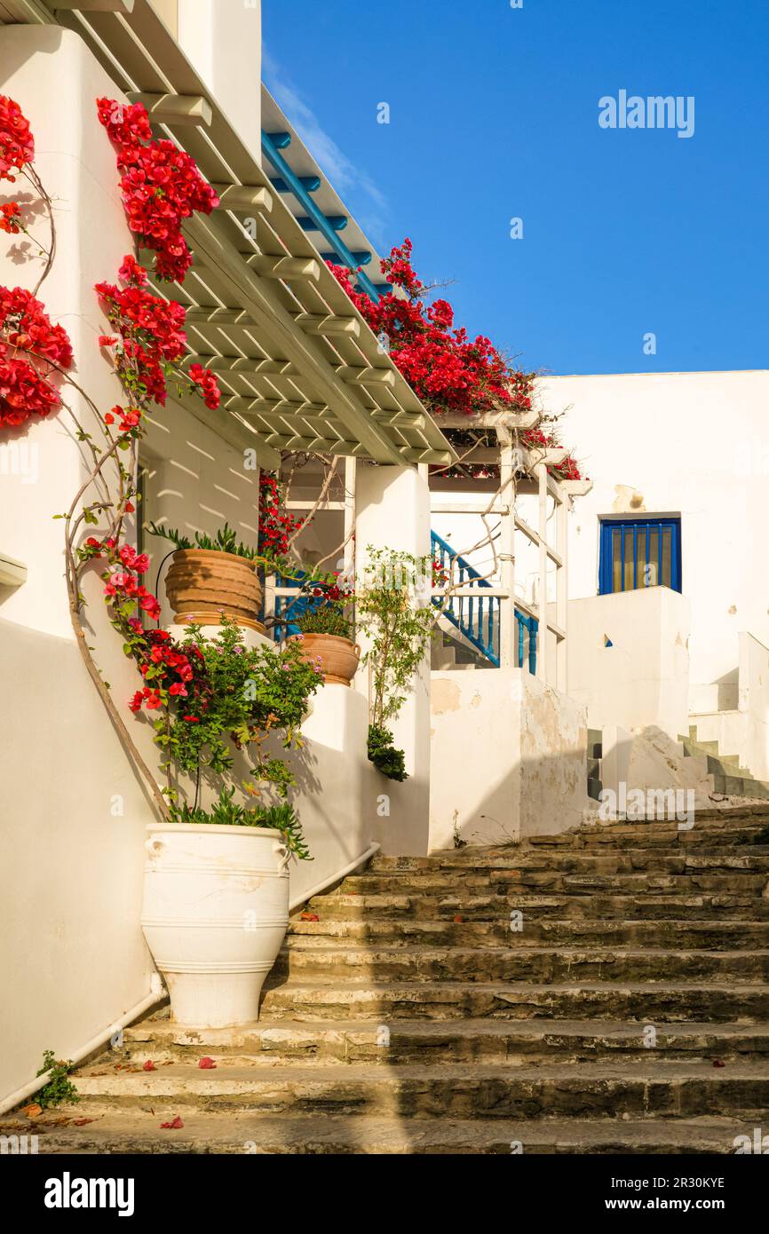 Whitewashed houses and streets, flower pots and bougainvillea of Greek ...