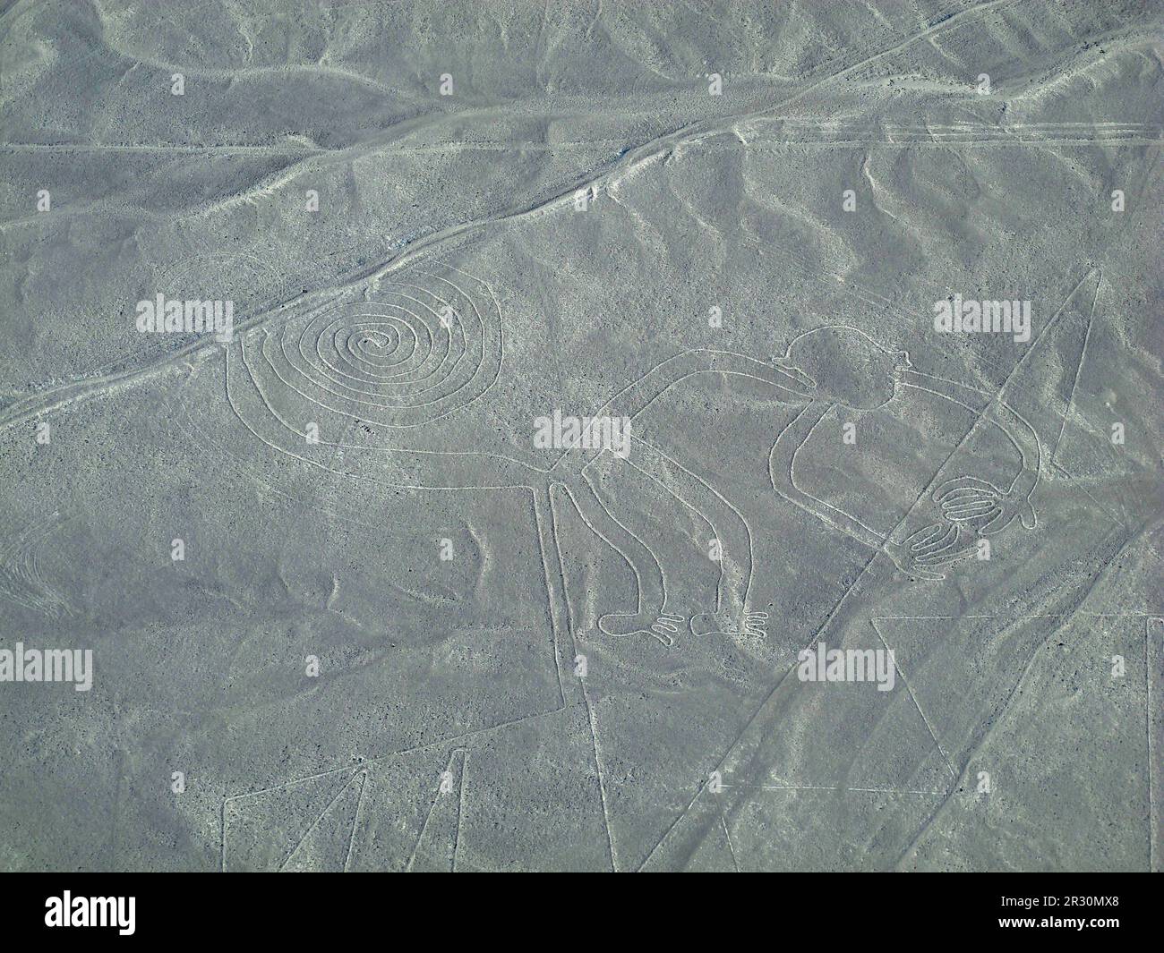 The Nazca lines in Peru in South America Stock Photo - Alamy