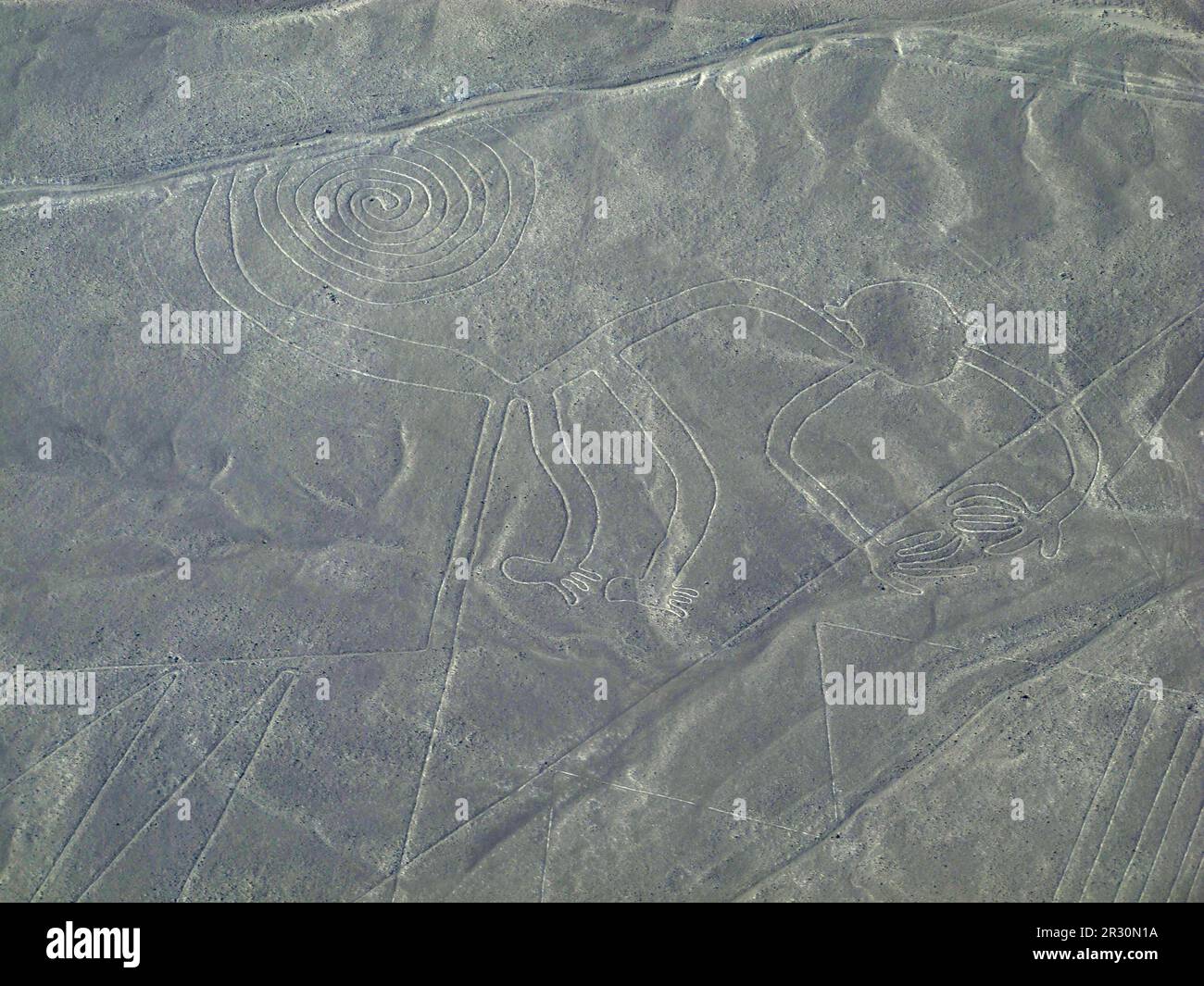 The Nazca lines in Peru in South America Stock Photo - Alamy