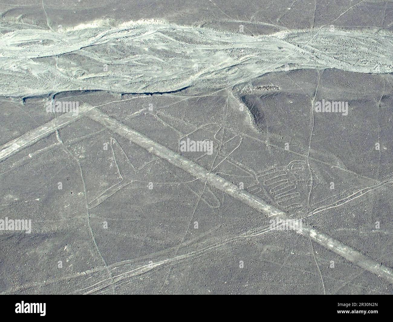The Nazca lines in Peru in South America Stock Photo - Alamy