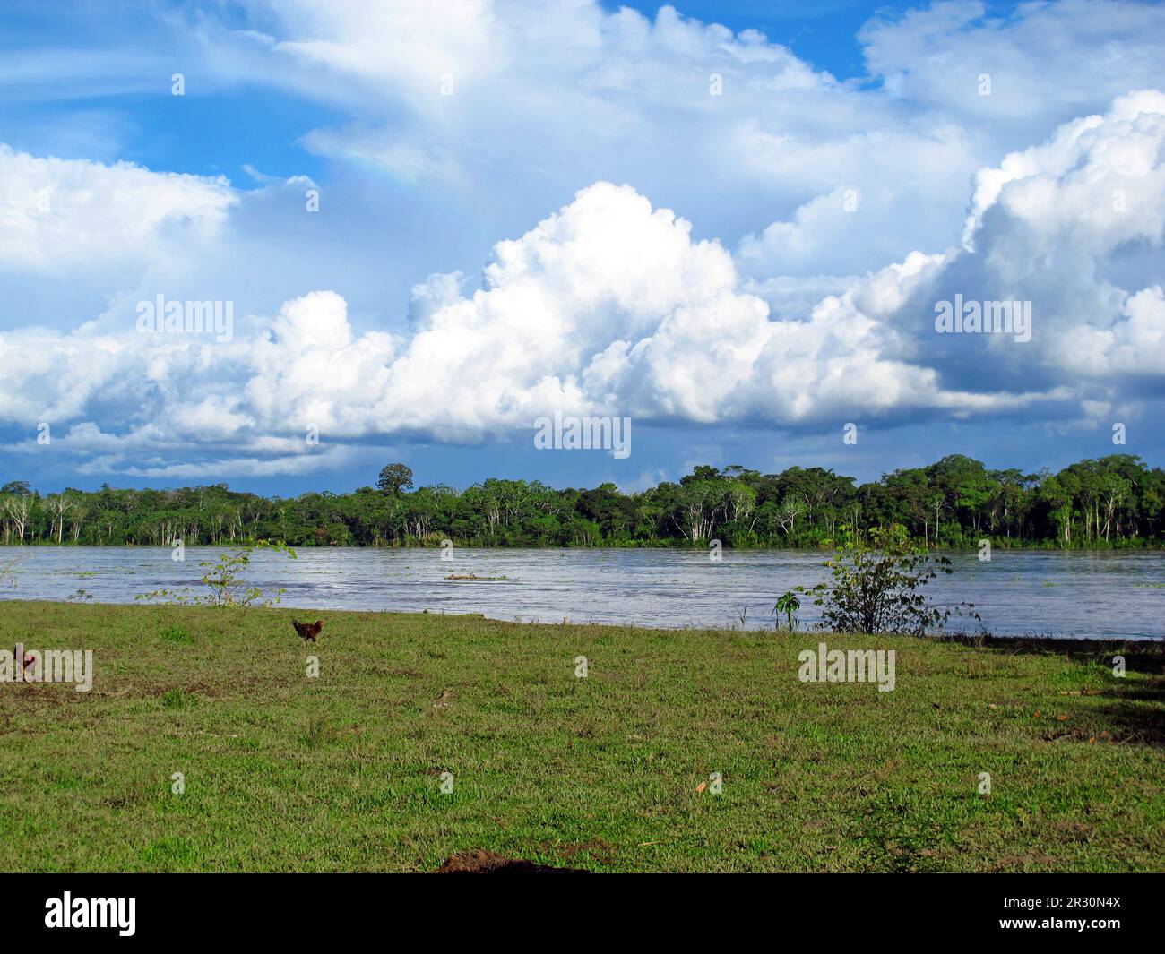 Amazon river bolivia aerial hi-res stock photography and images - Alamy
