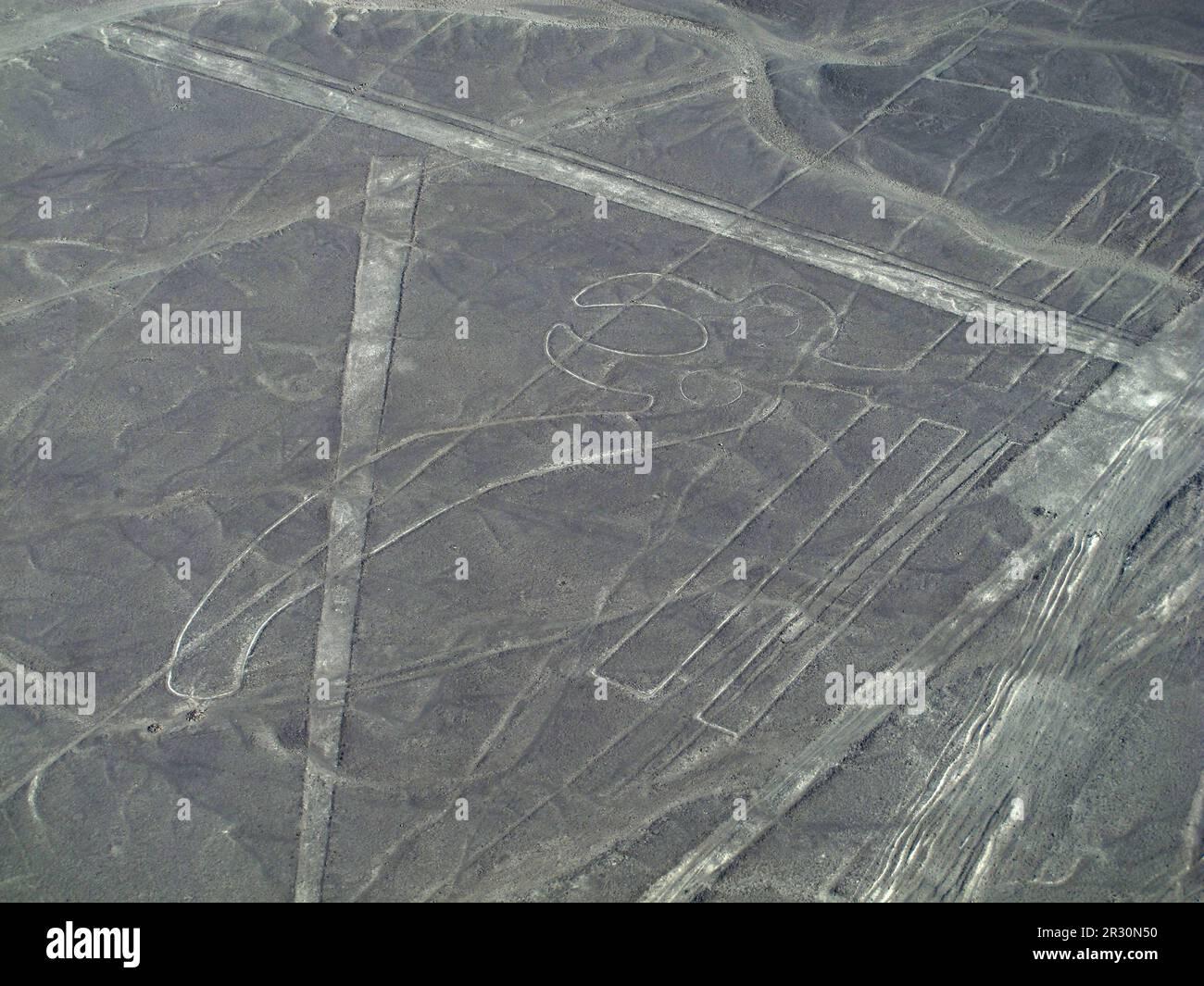 The Nazca lines in Peru in South America Stock Photo - Alamy