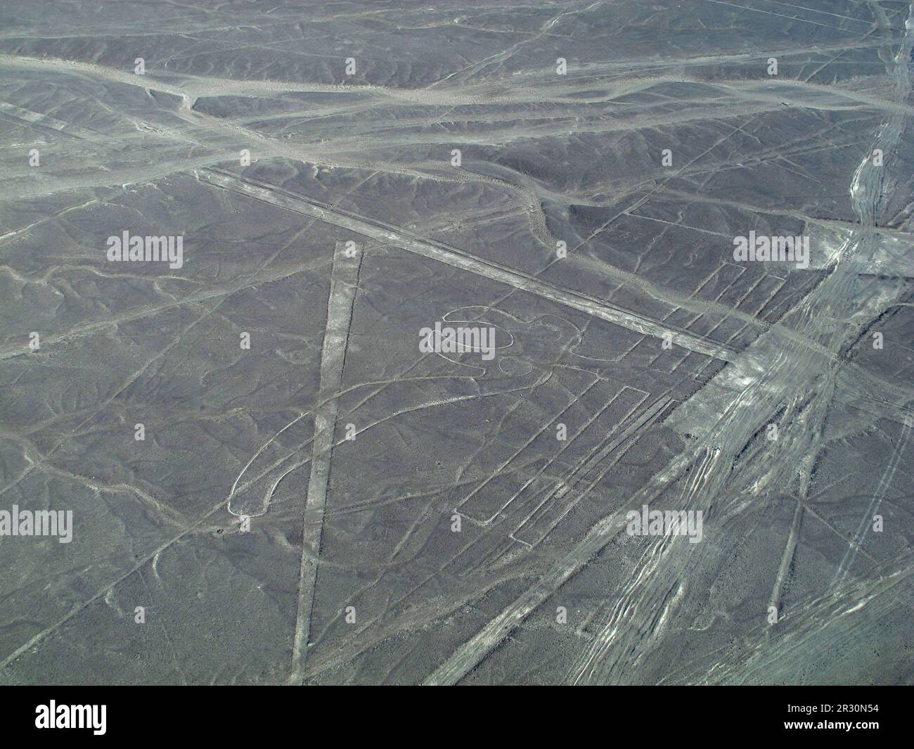 The Nazca lines in Peru in South America Stock Photo - Alamy