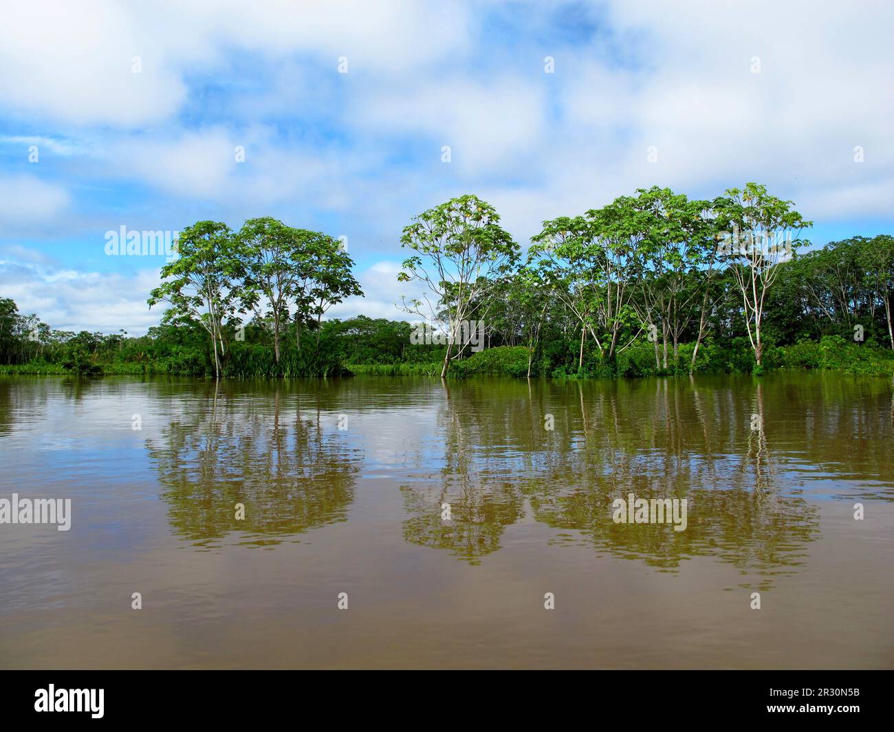 The Amazon river, Peru in South America Stock Photo - Alamy