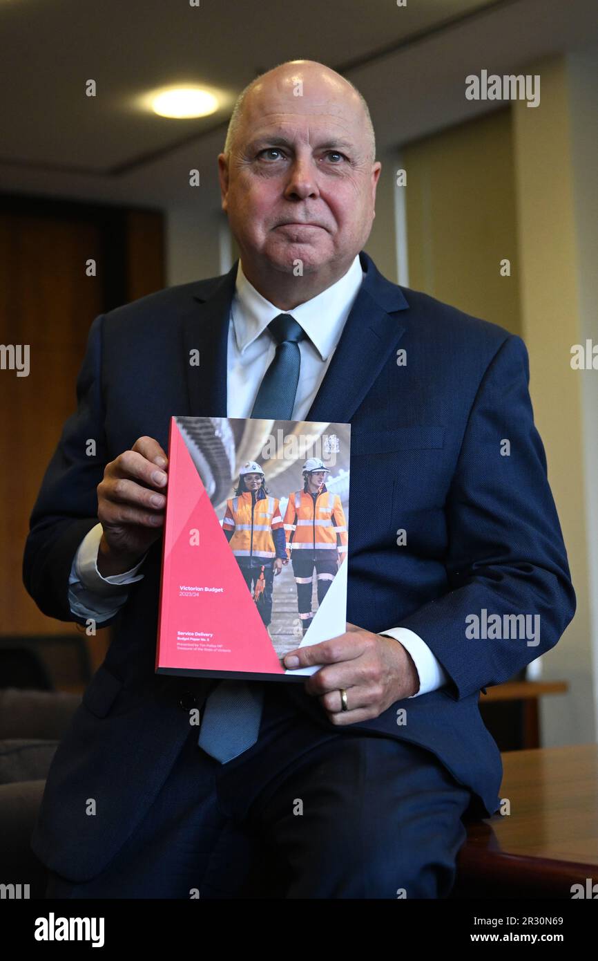 Victorian Treasurer Tim Pallas poses for a portrait ahead of the 2023 ...