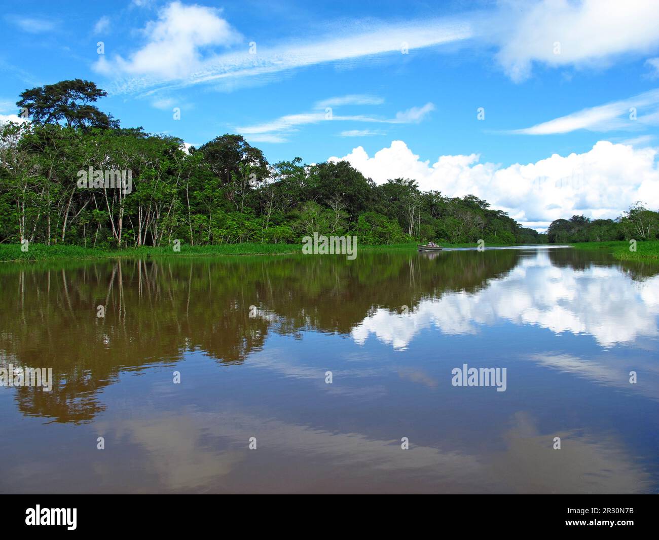 The Amazon river, Peru in South America Stock Photo - Alamy