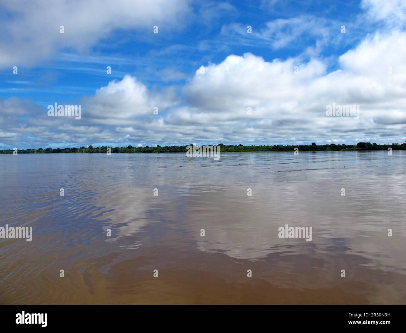 The Amazon river, Peru in South America Stock Photo - Alamy