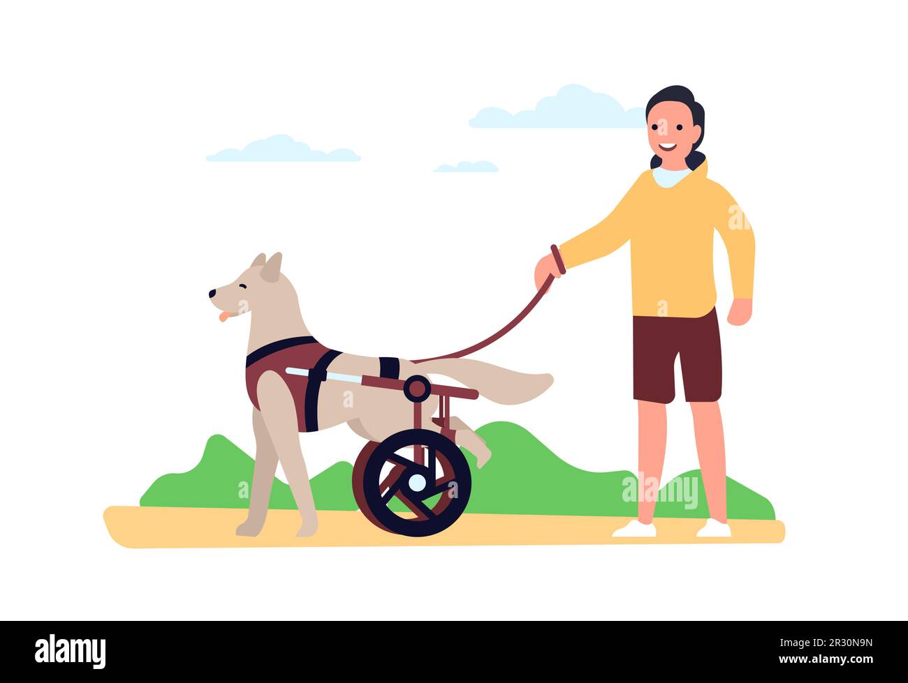 Boy walks his dog in wheelchair for his hind legs. Disabled pet walking ...